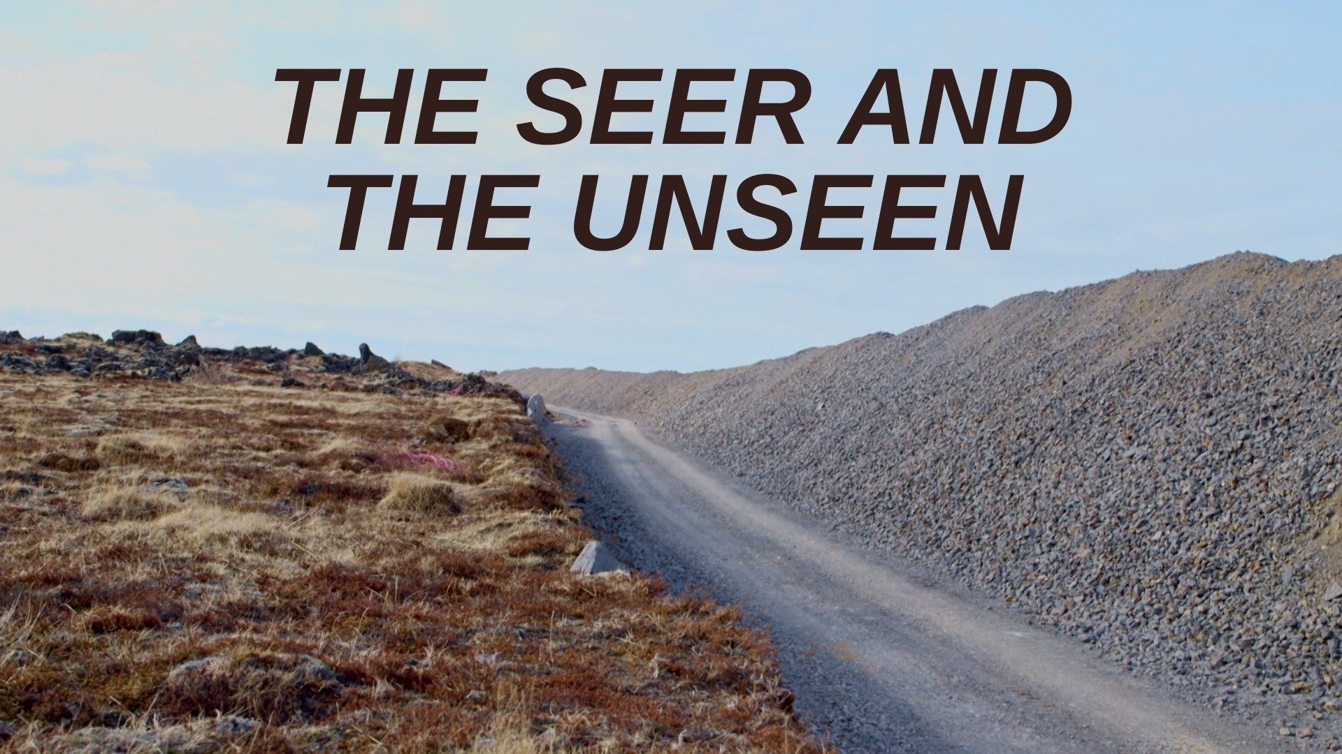 Watch The Seer and the Unseen (2019) Full Movie Free Online - Plex