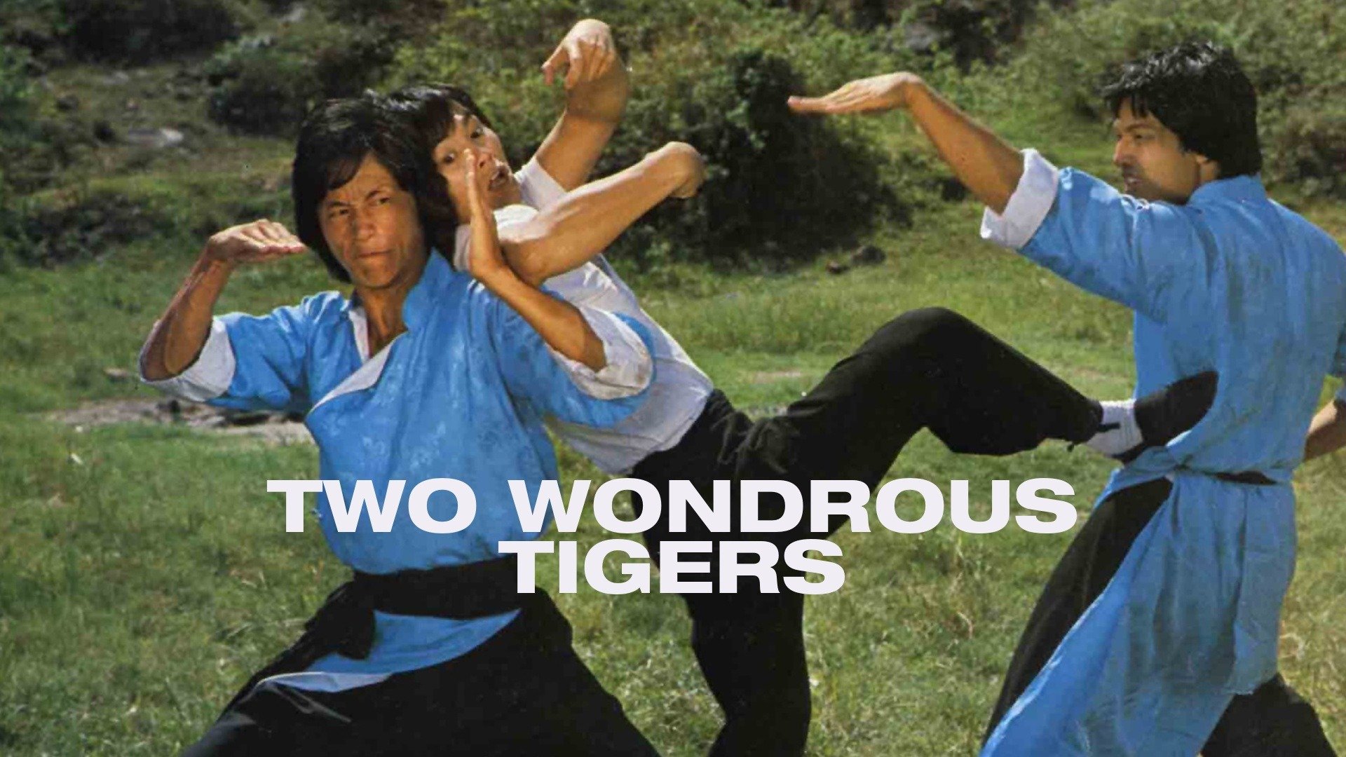 Watch 2 Wondrous Tigers (1980) Full Movie Free Online - Plex