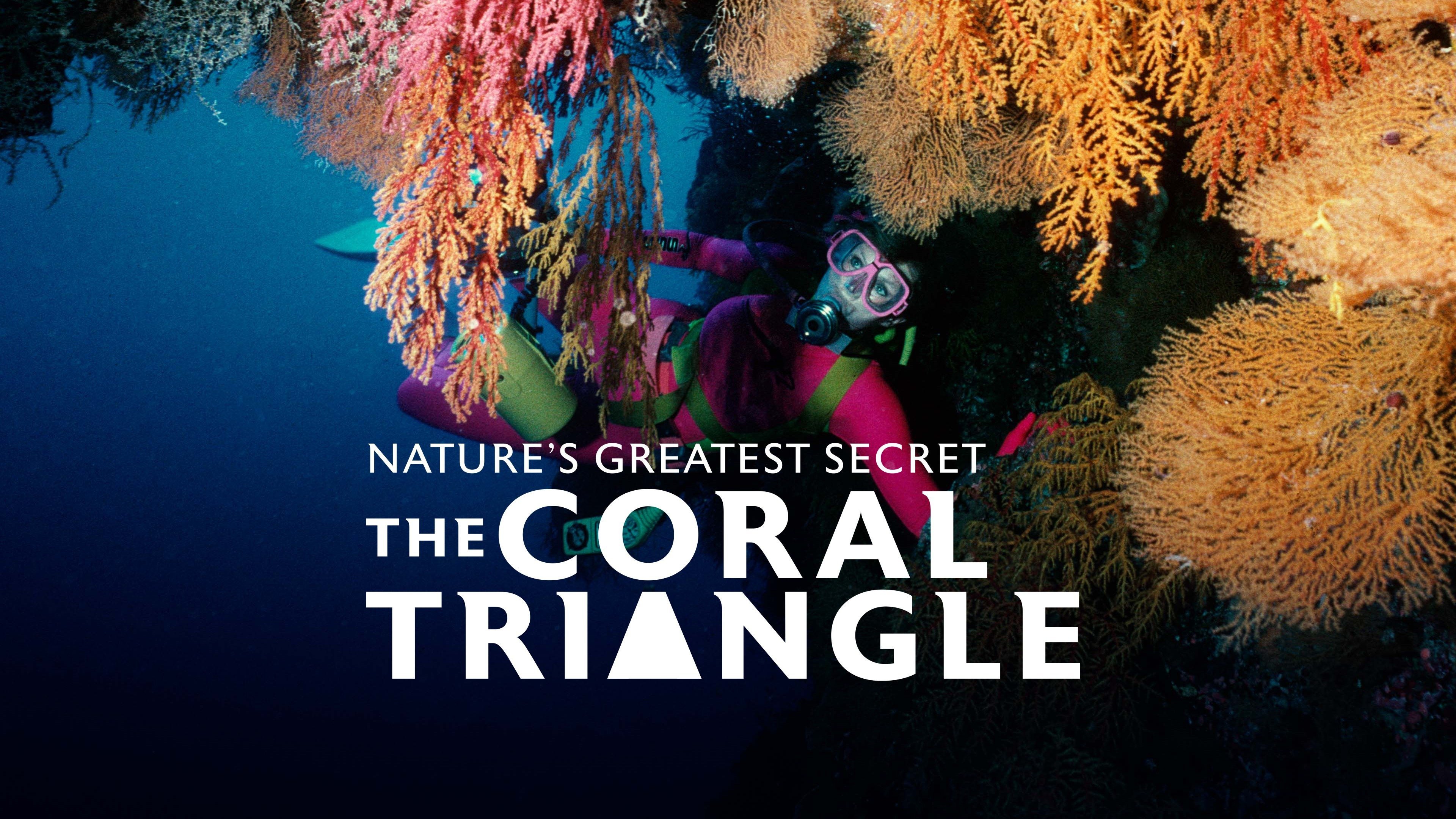 Watch Coral Triangle · Season 1 Full Episodes Online - Plex