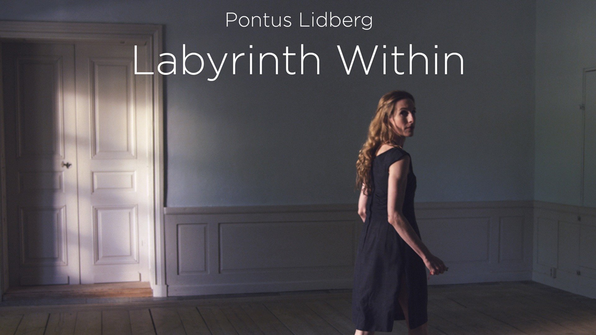 Watch Labyrinth Within (2010) Full Movie Free Online - Plex