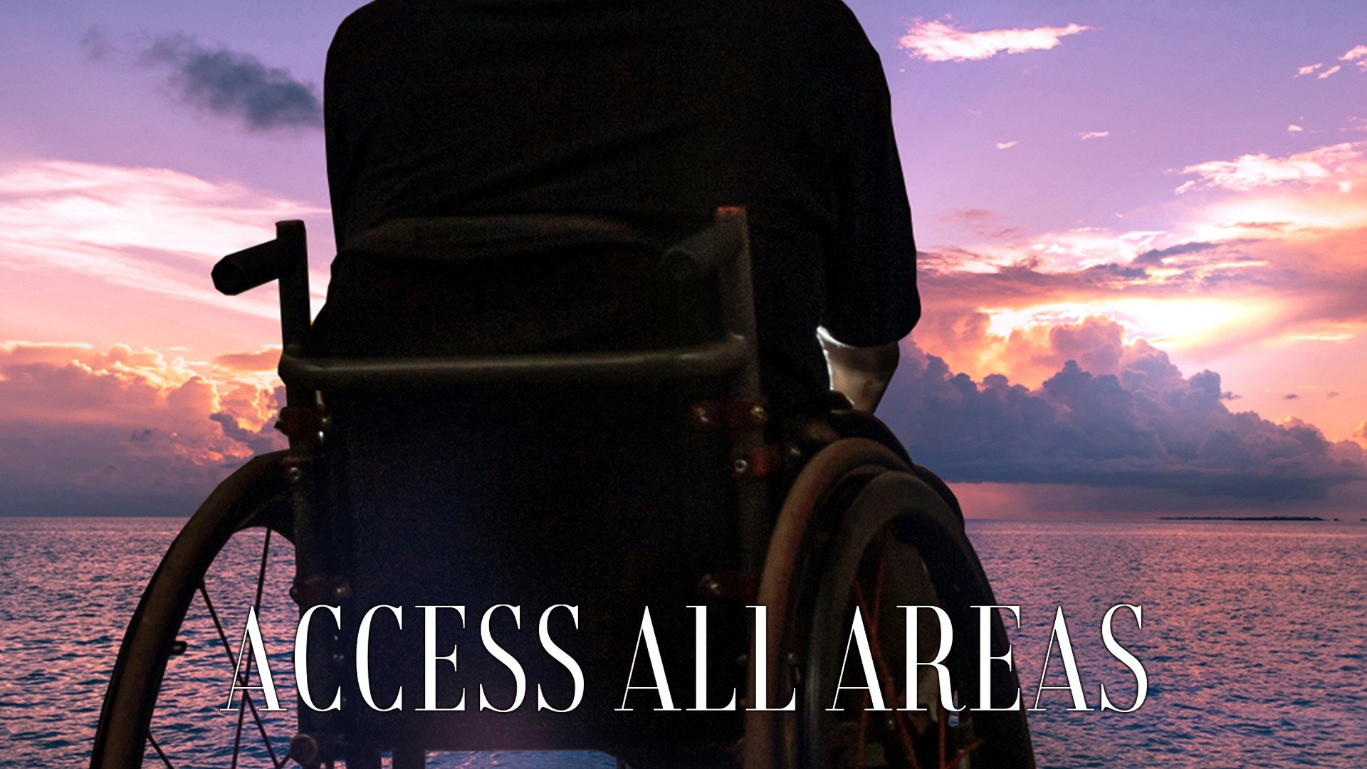 Access All Areas (2021) - Plex