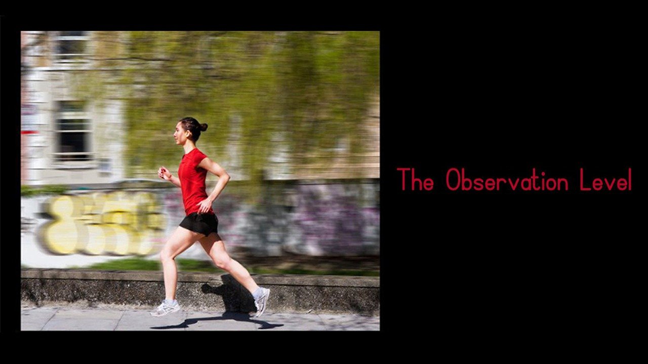 The Observation Level - Plex