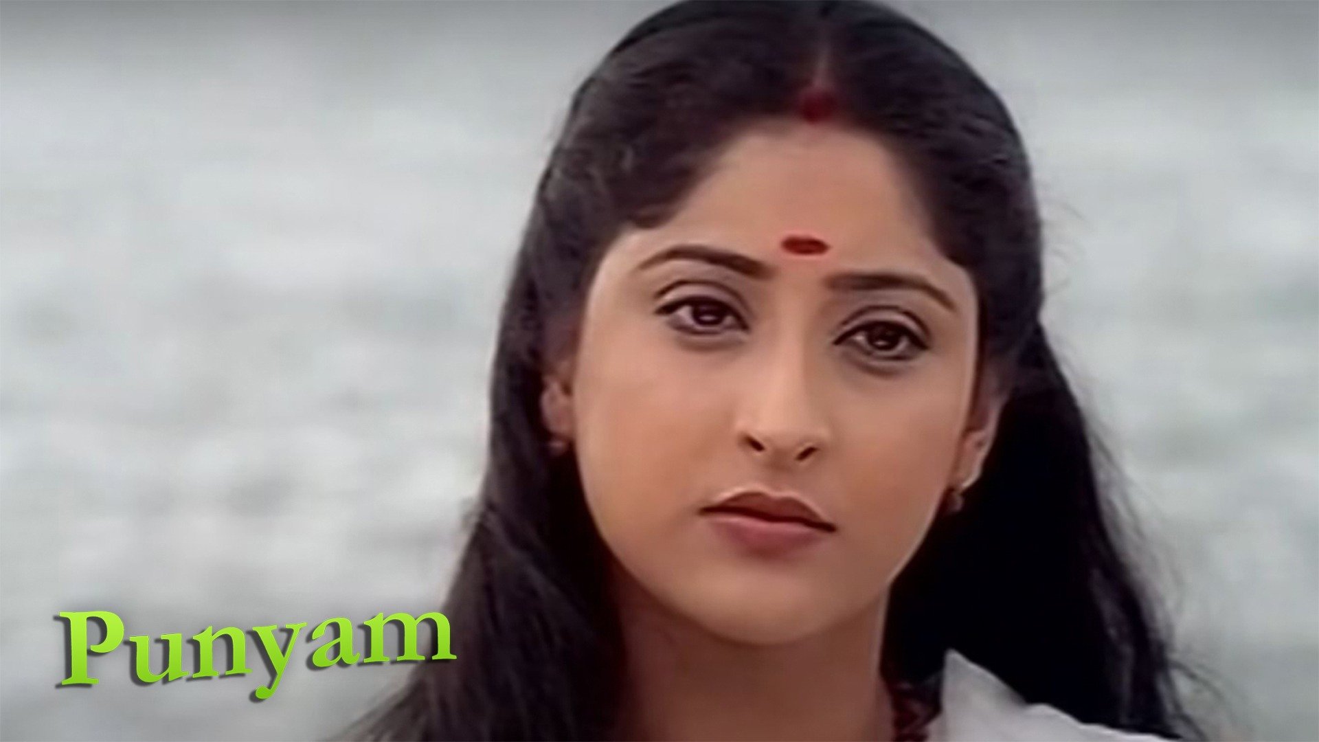 Watch Punyam Full Movie Online - Plex