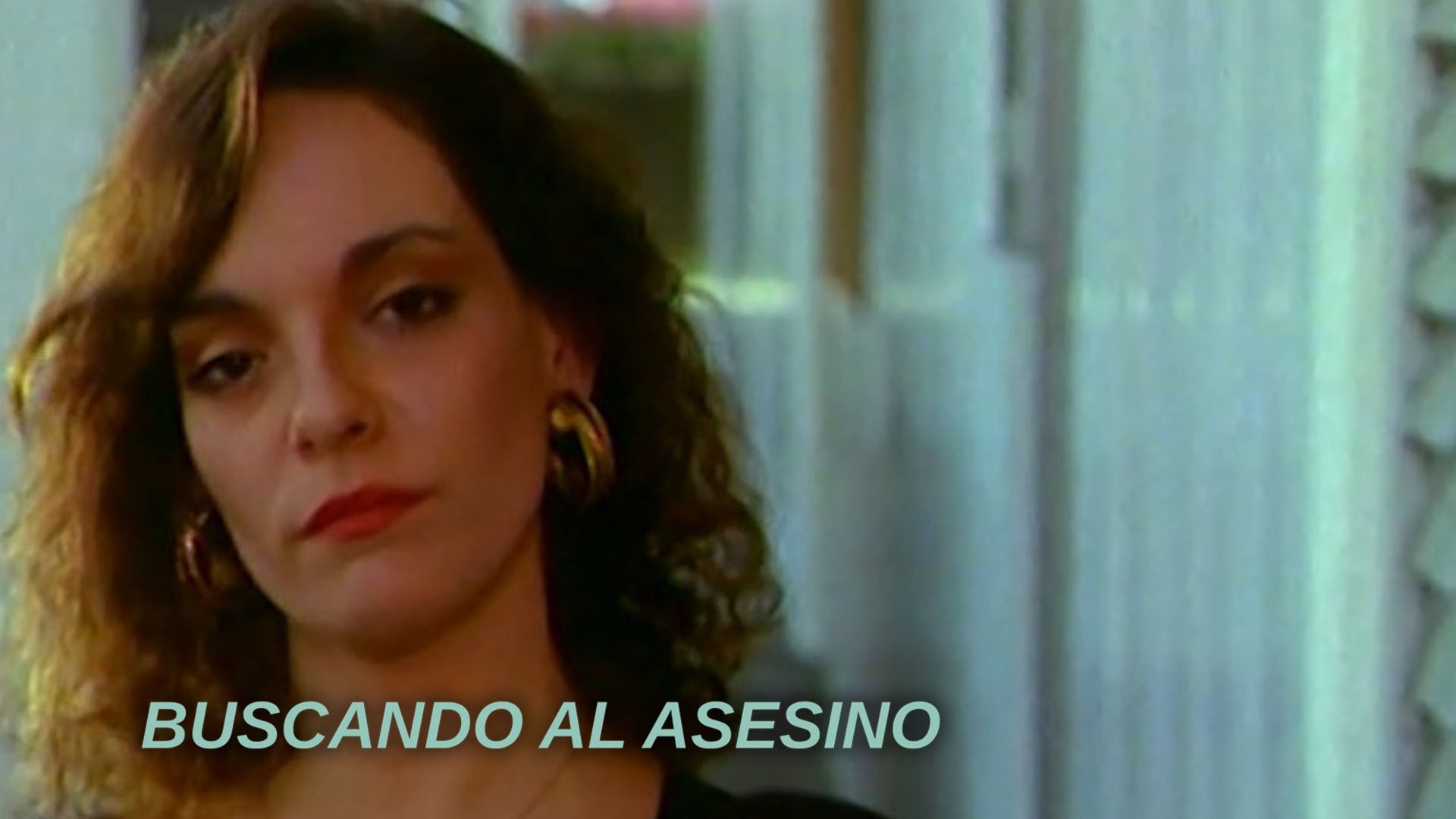 Un asesino anda suelto (1991) - Plex