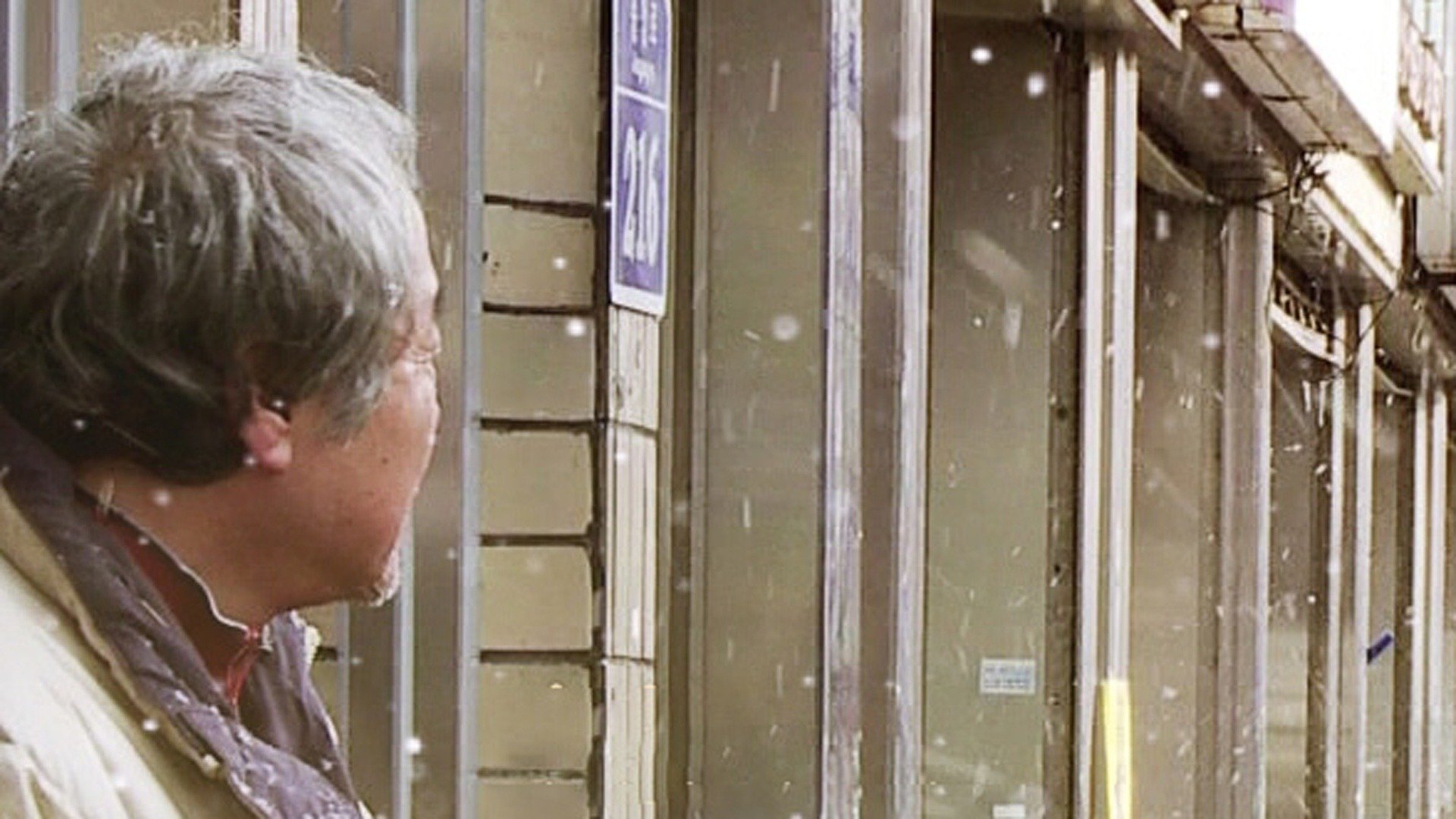 Winter sleep (2012) - Plex