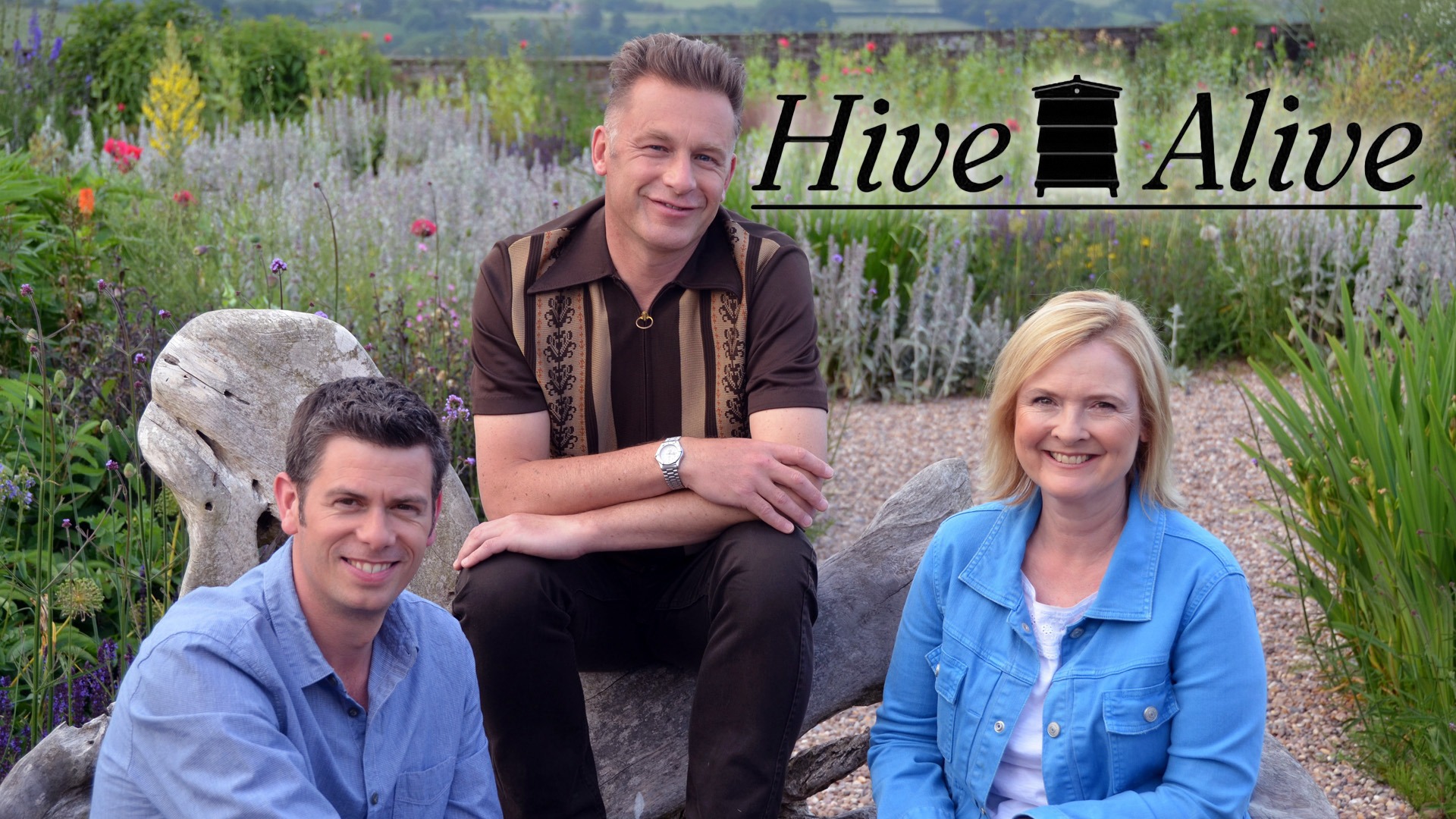 Hive Alive · Season 1 - Plex