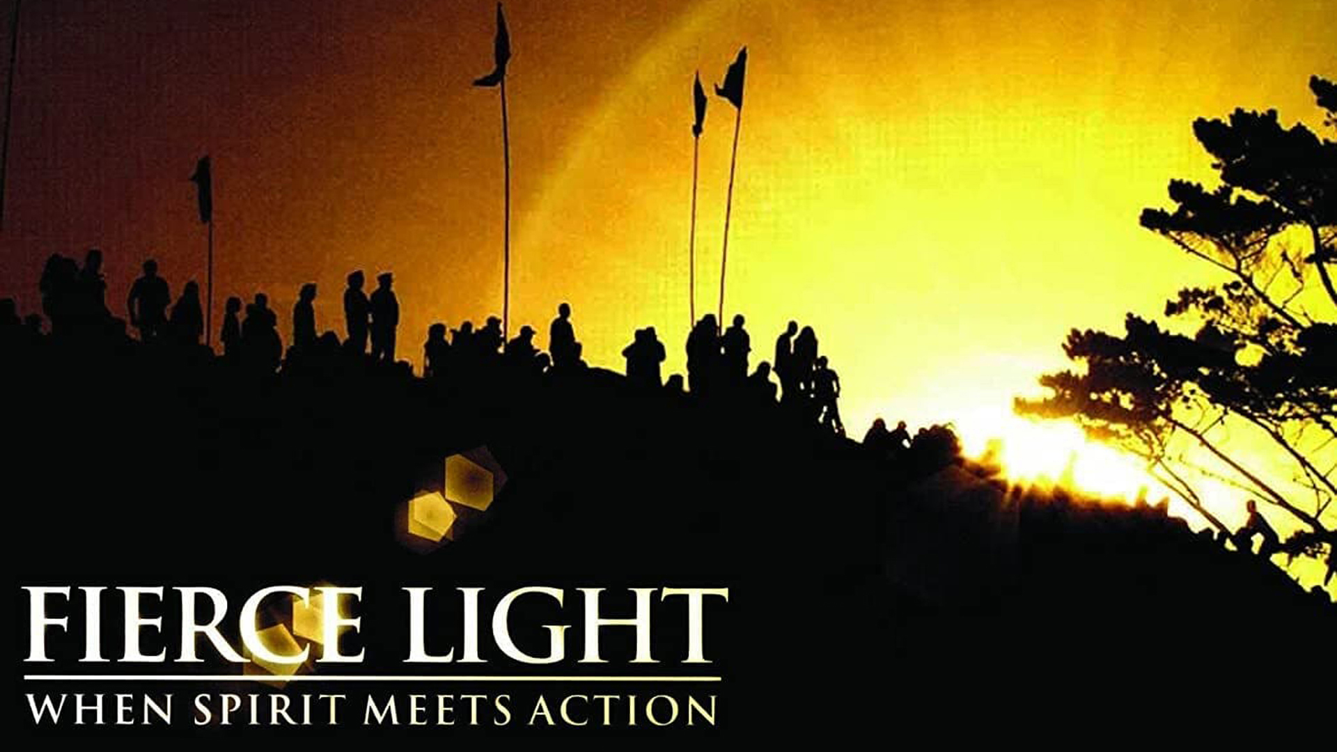 Watch Fierce Light: When Spirit Meets Action (2008) Full Movie Free ...
