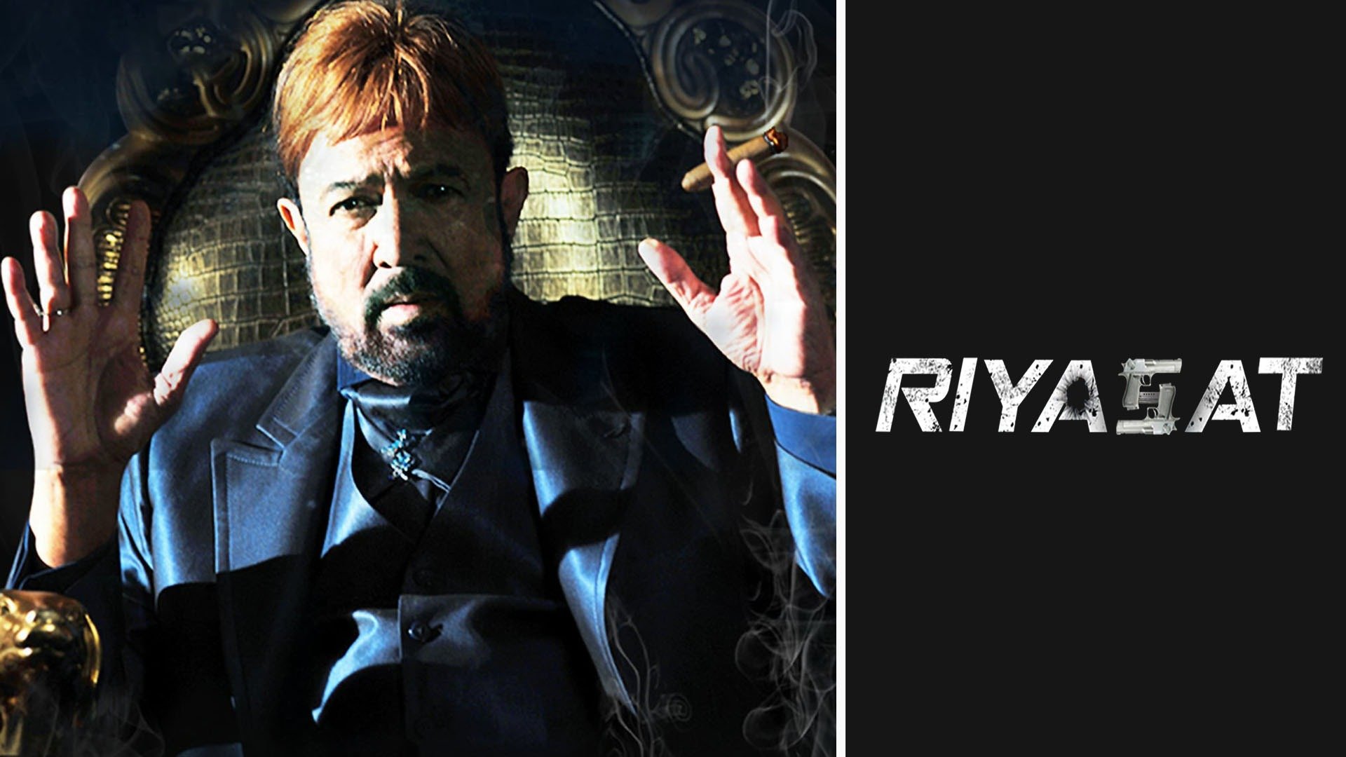 Watch Riyasat (2014) Full Movie Online - Plex