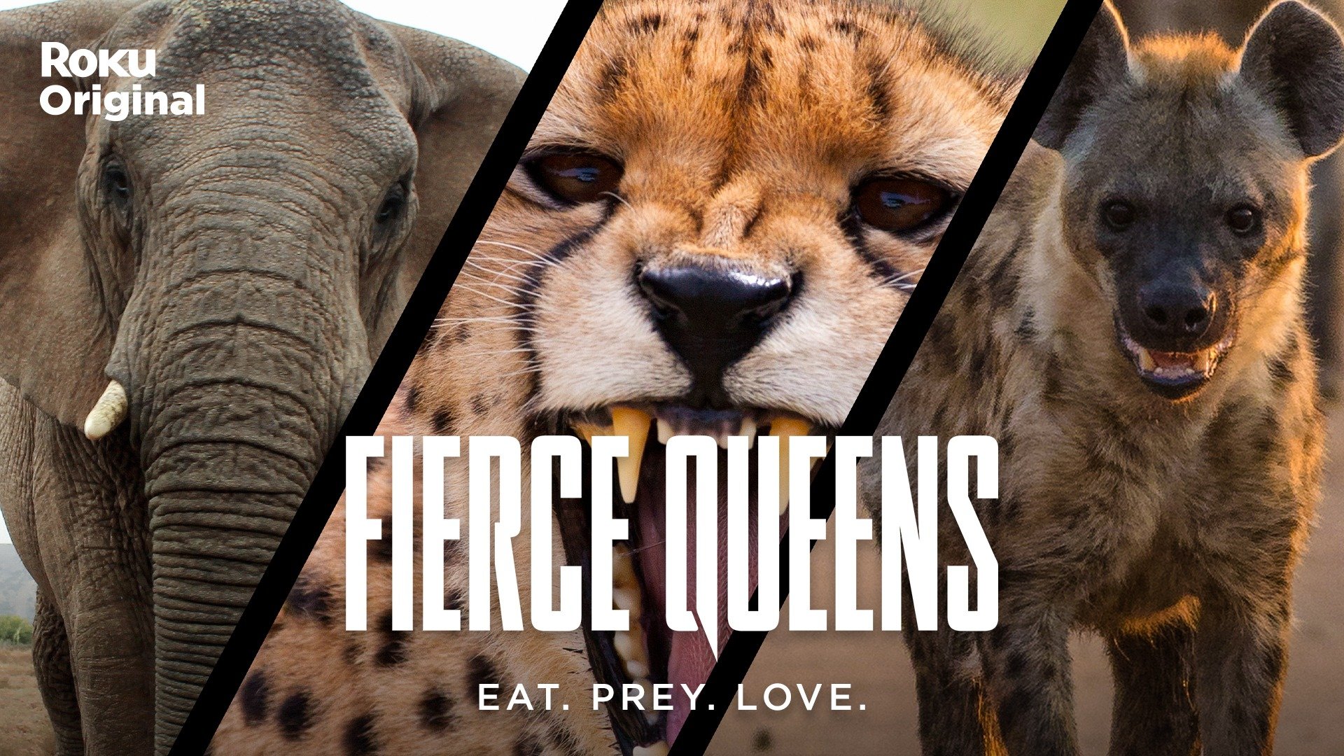 Fierce Queens · Season 1 - Plex