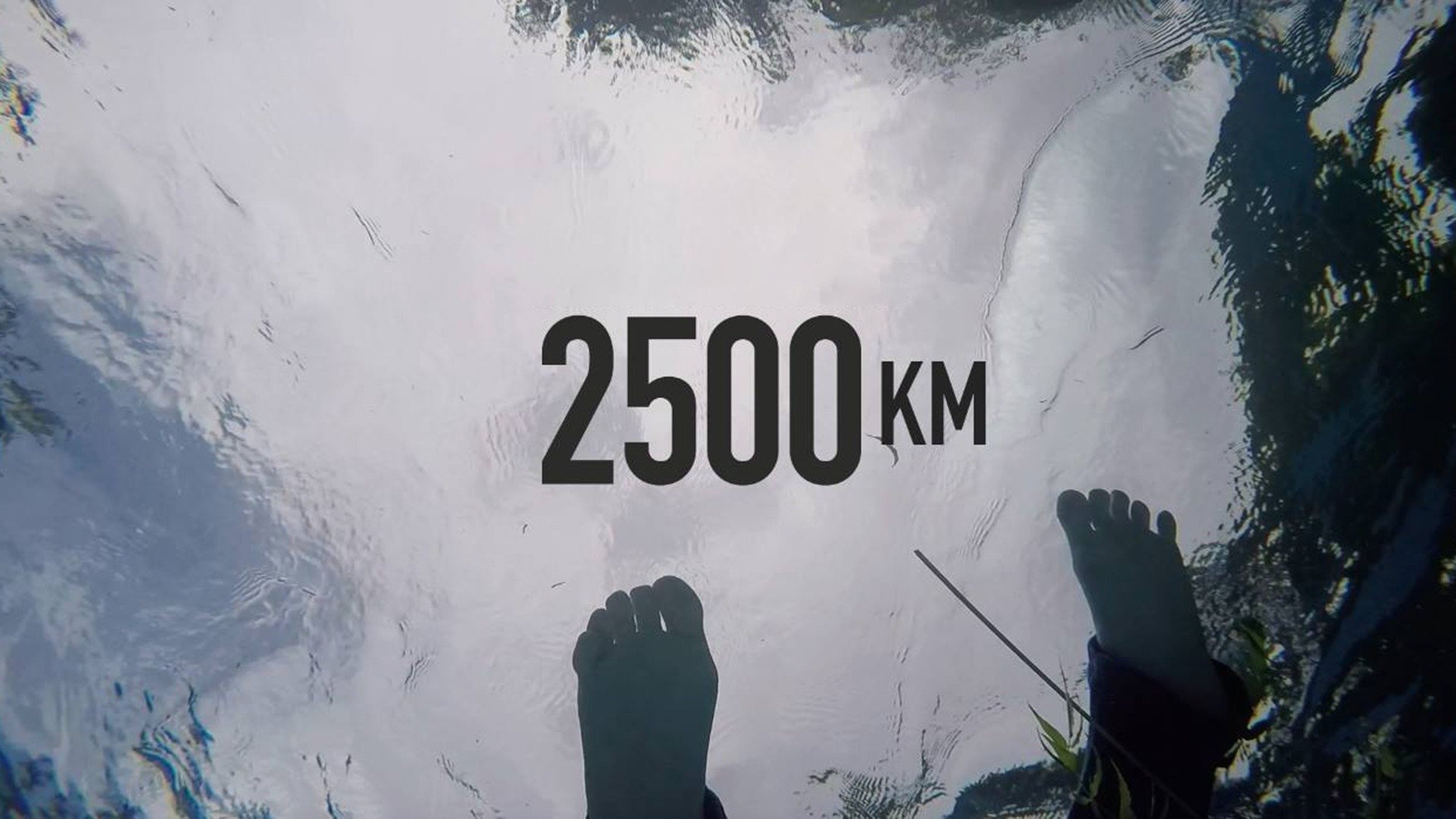 2500Km (2016) - Plex