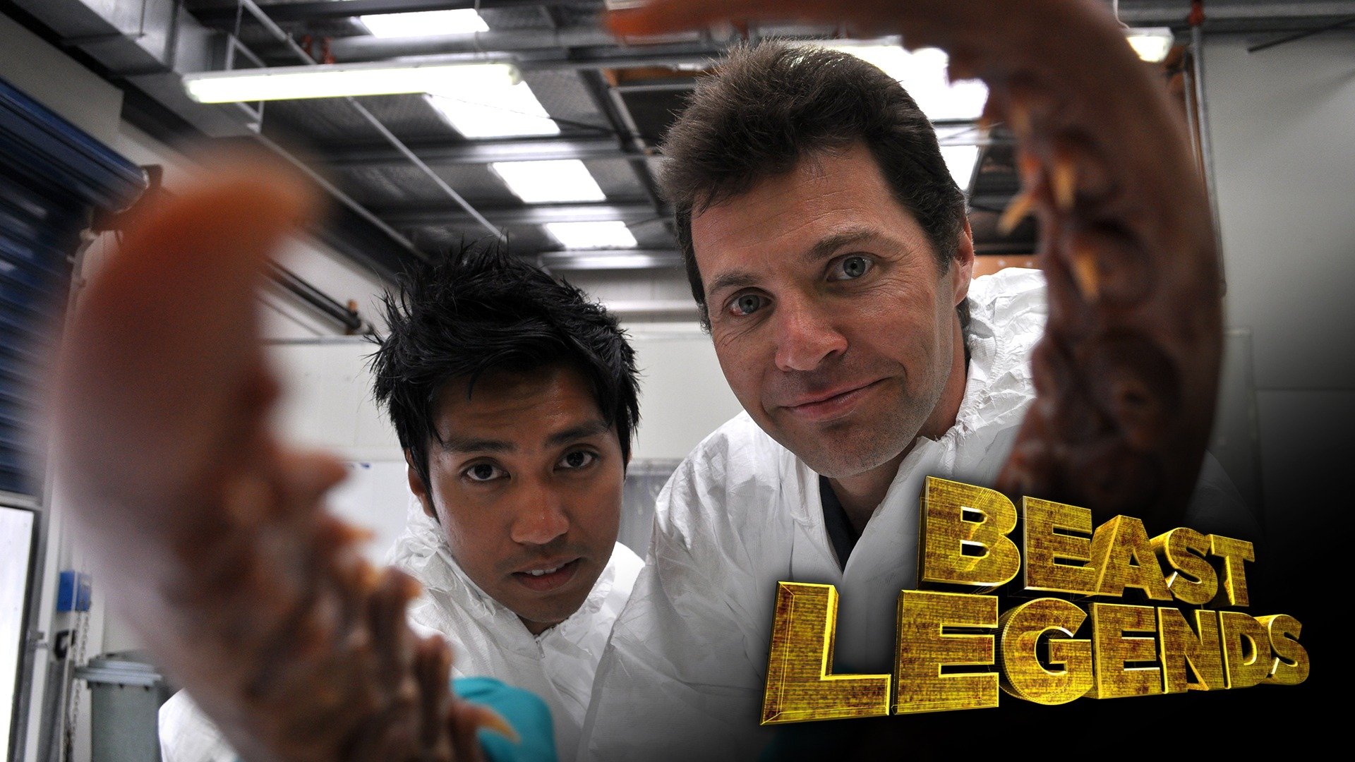 Watch Beast Legends (2010) TV Series Free Online - Plex