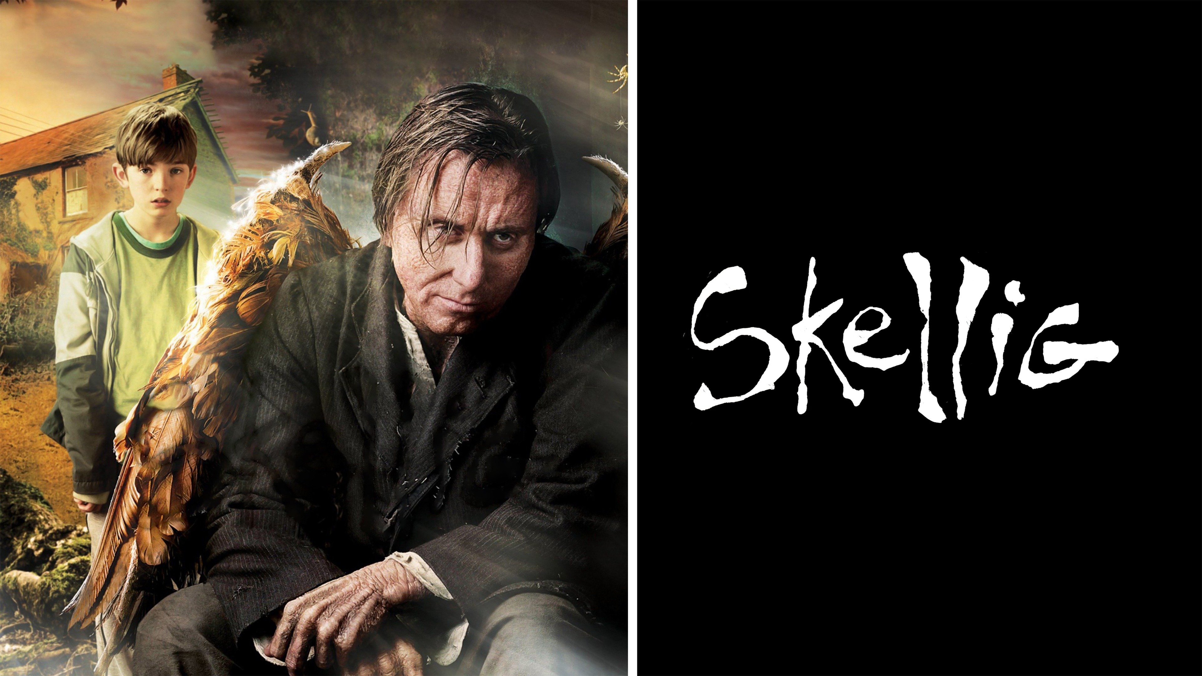Watch Skellig: The Owl Man (2009) Full Movie Free Online - Plex