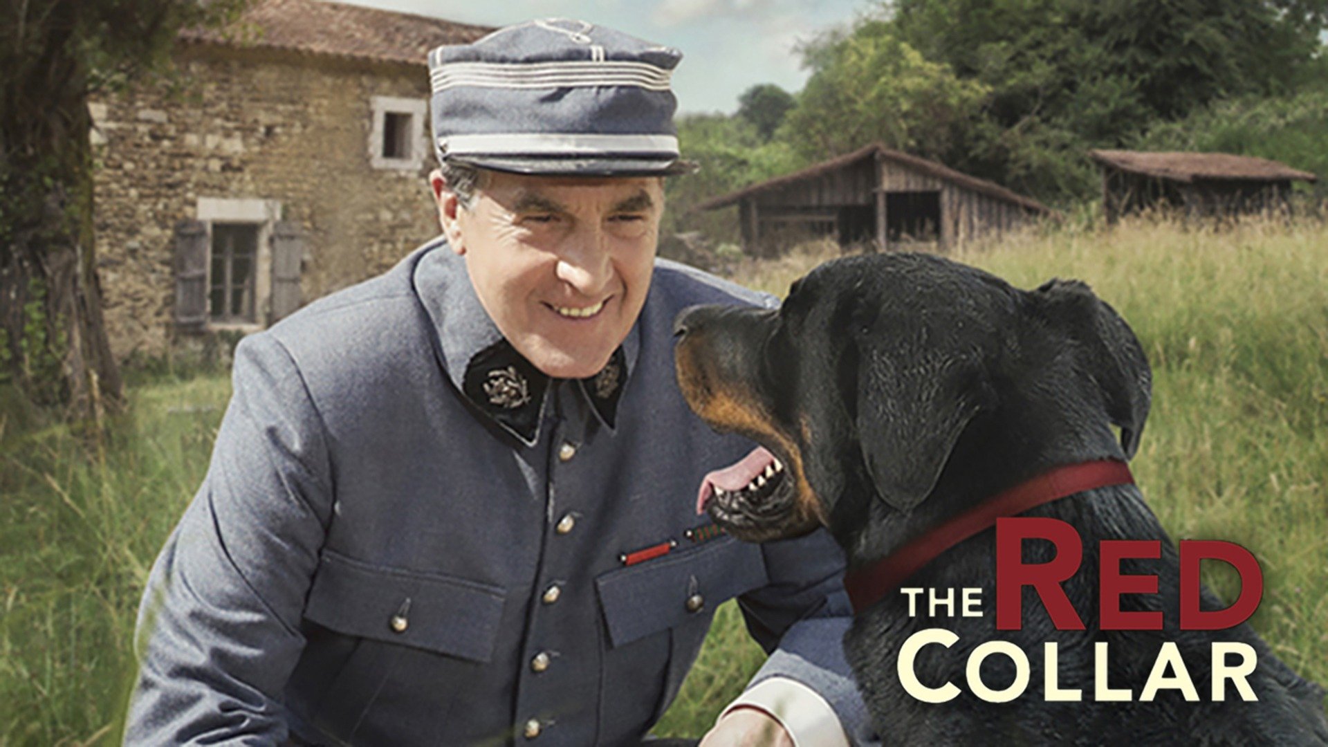 The Red Collar (2018) - Plex