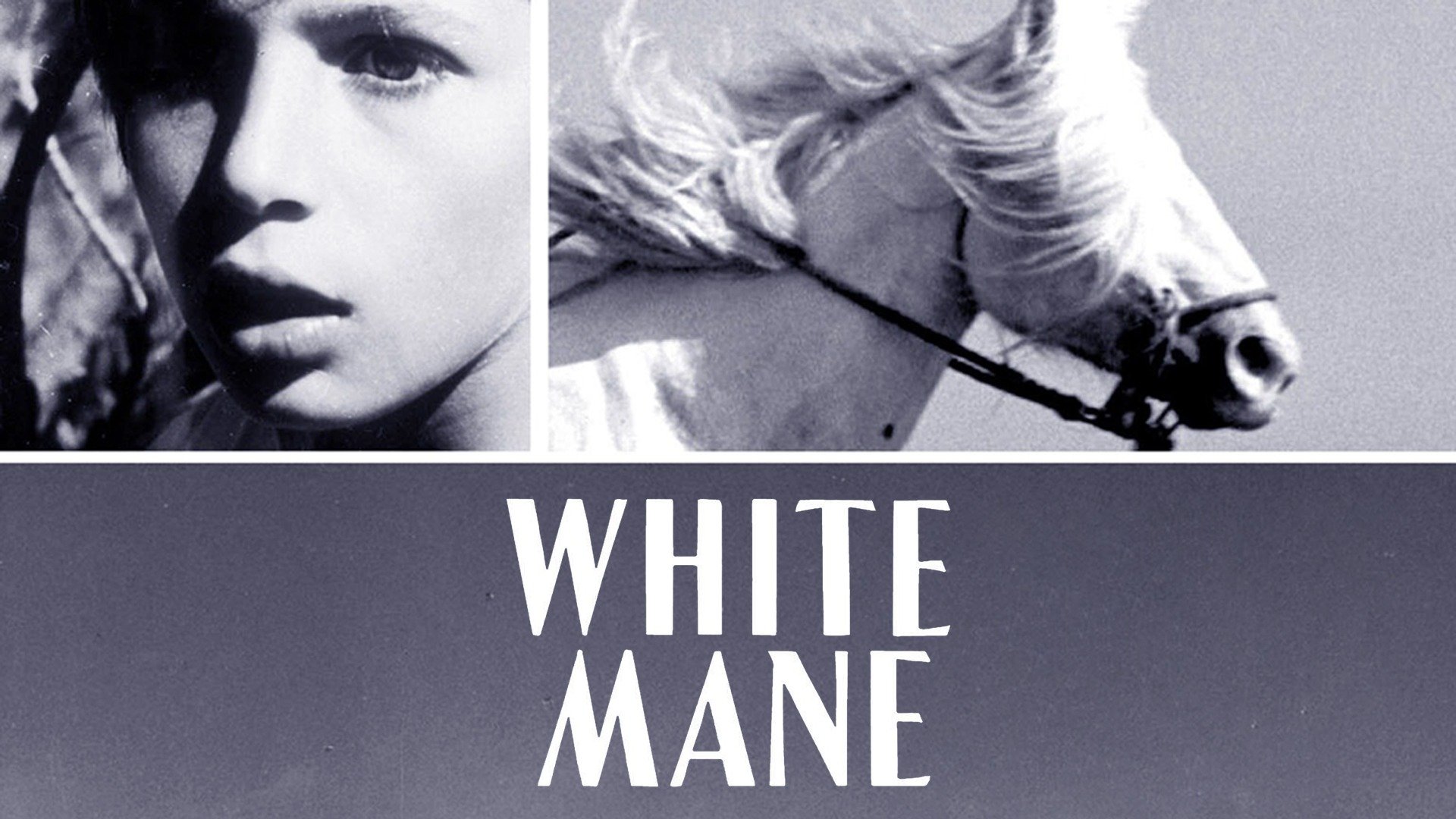 Watch White Mane (1953) Full Movie Online - Plex