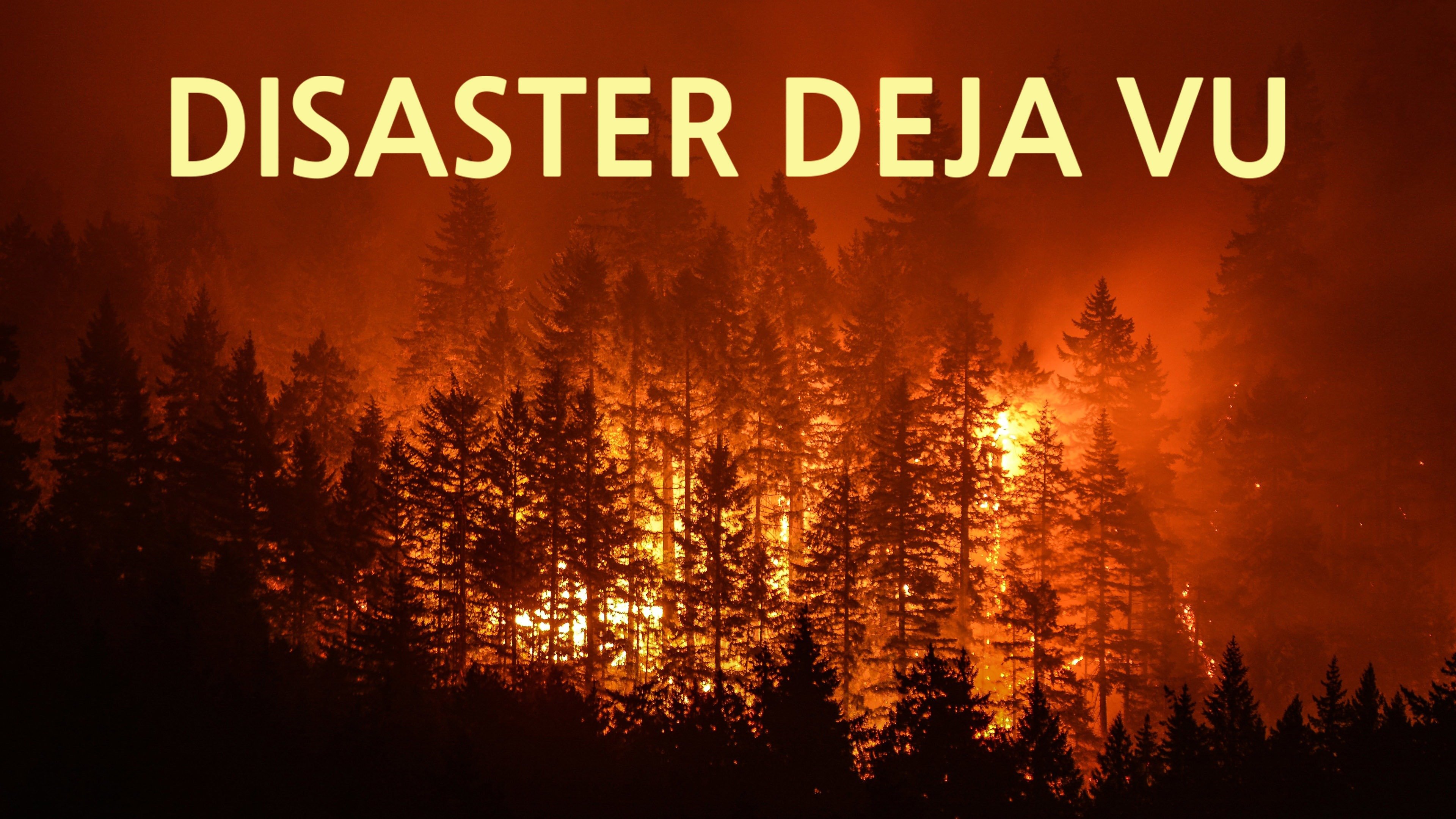 Disaster Deja vu · Season 1 - Plex