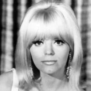 Carol Wayne Movies and TV Shows - Plex