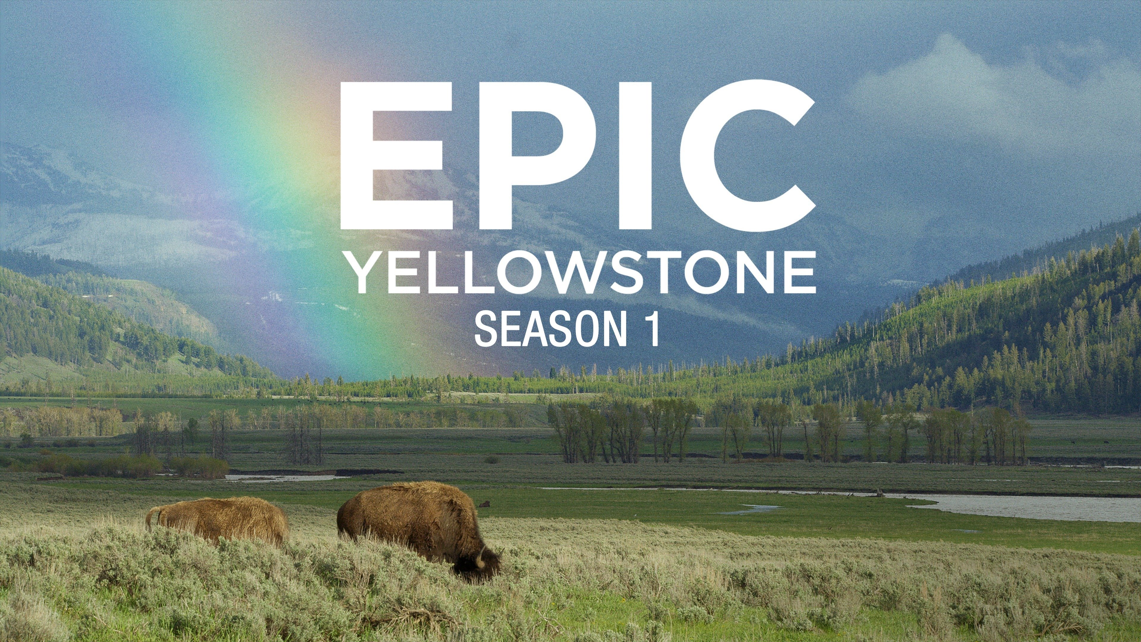 Watch Epic Yellowstone · Season 1 Full Episodes Free Online - Plex