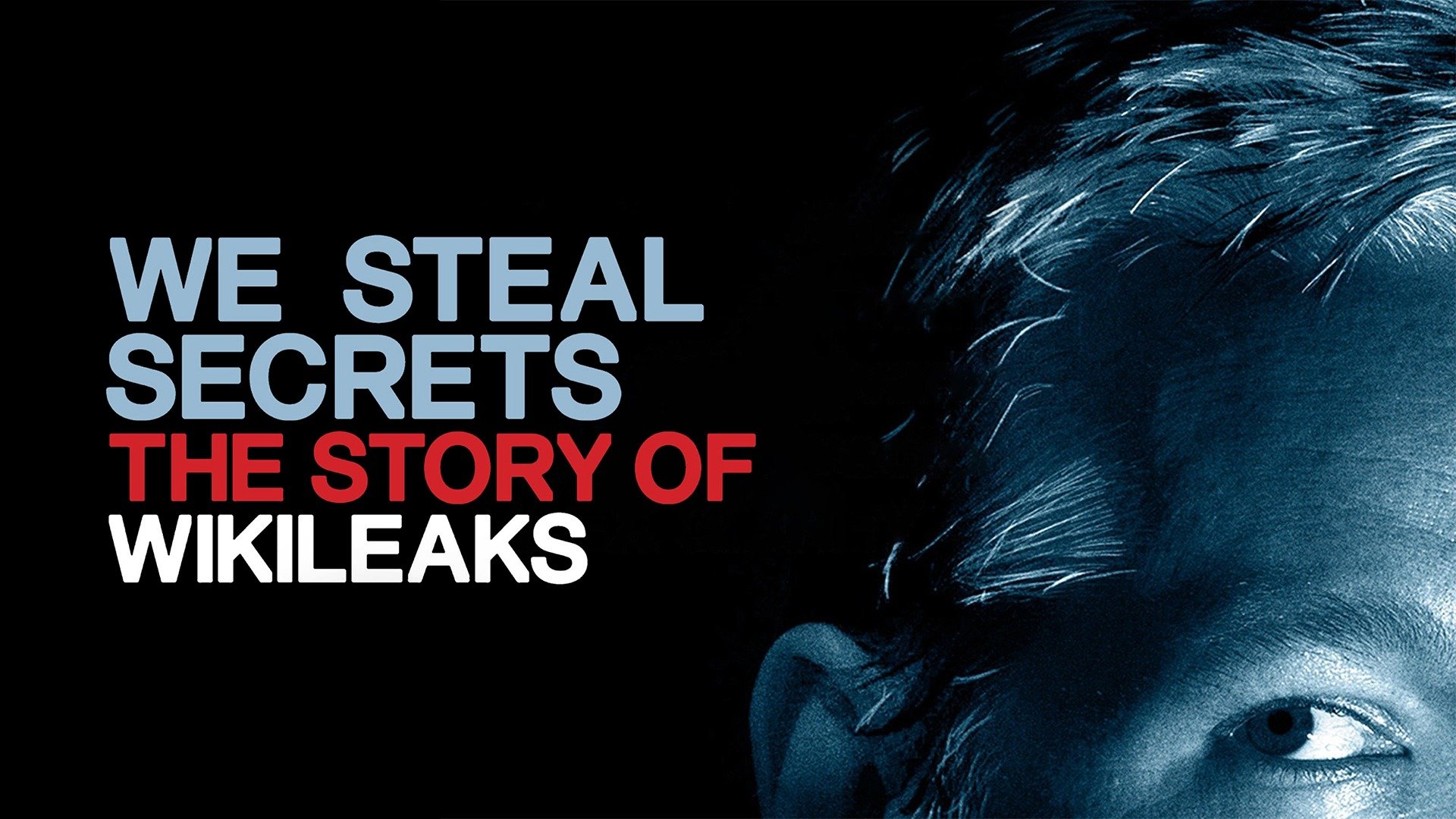 Watch We Steal Secrets (2013) Full Movie Online - Plex