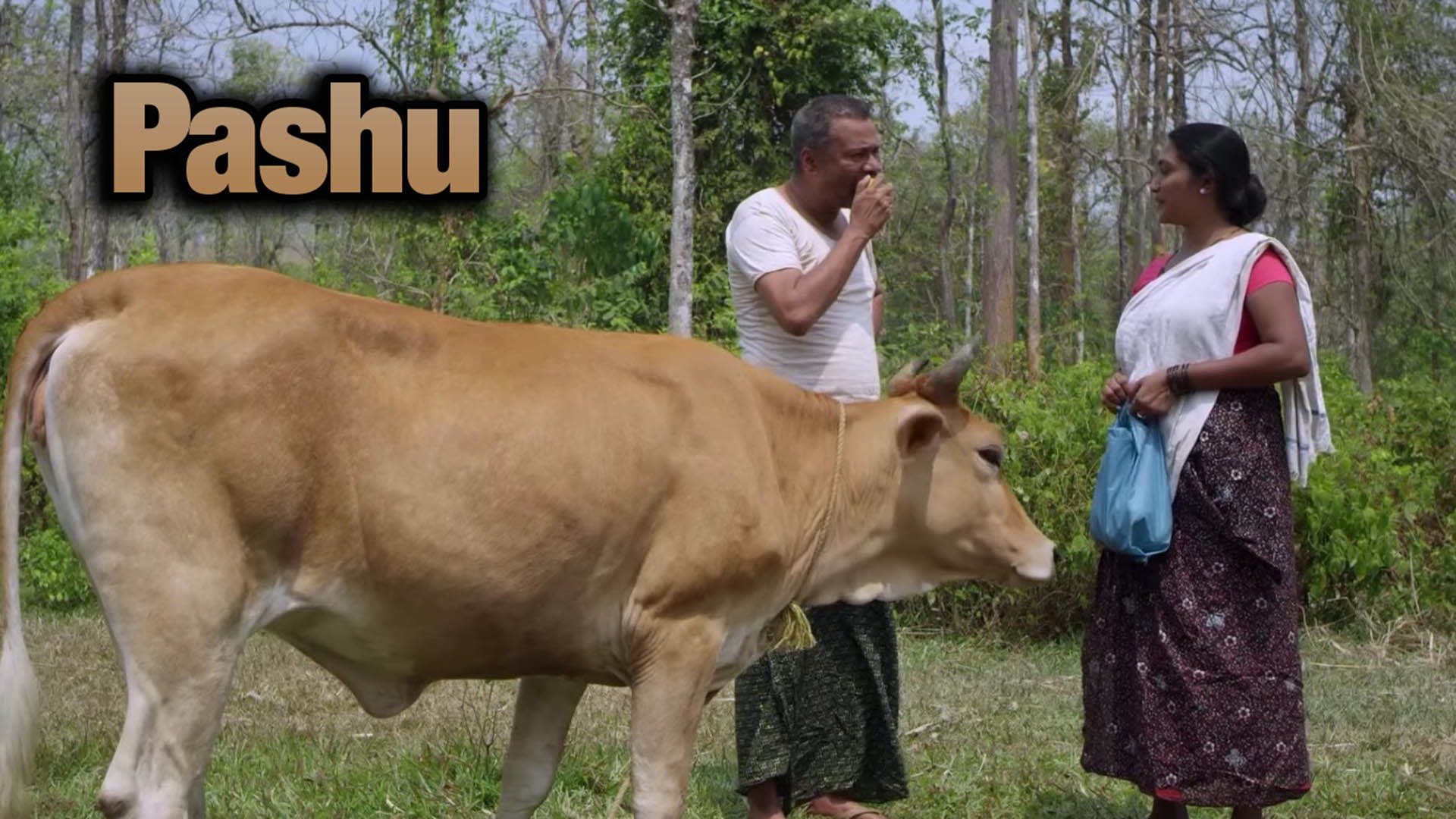 Watch Pashu (2017) Full Movie Free Online - Plex