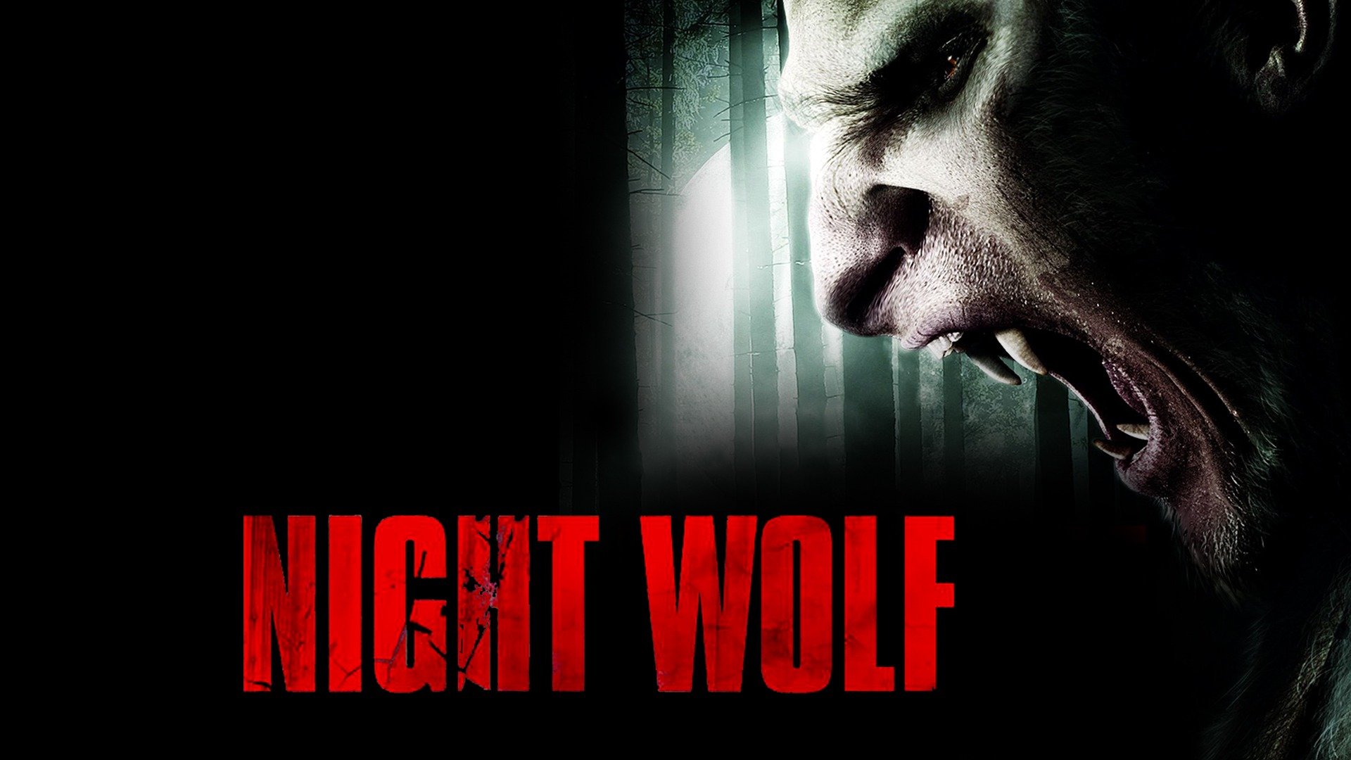 Watch Night Wolf (2010) Full Movie Free Online - Plex