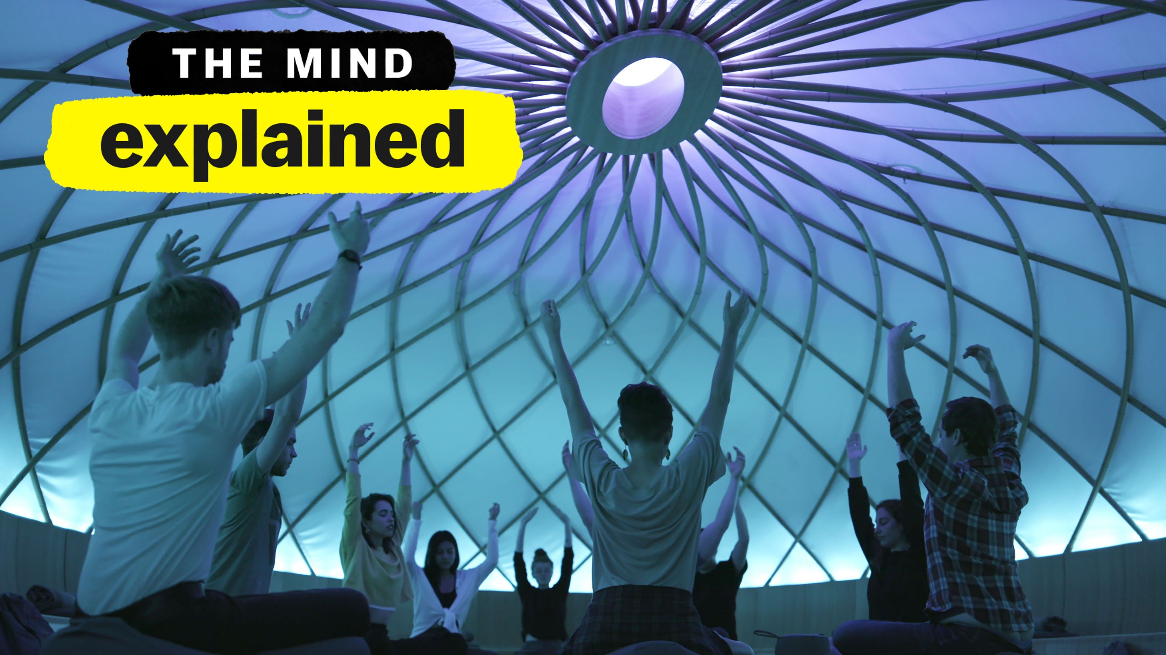 Watch The Mind, Explained · Season 2 Full Episodes Online - Plex