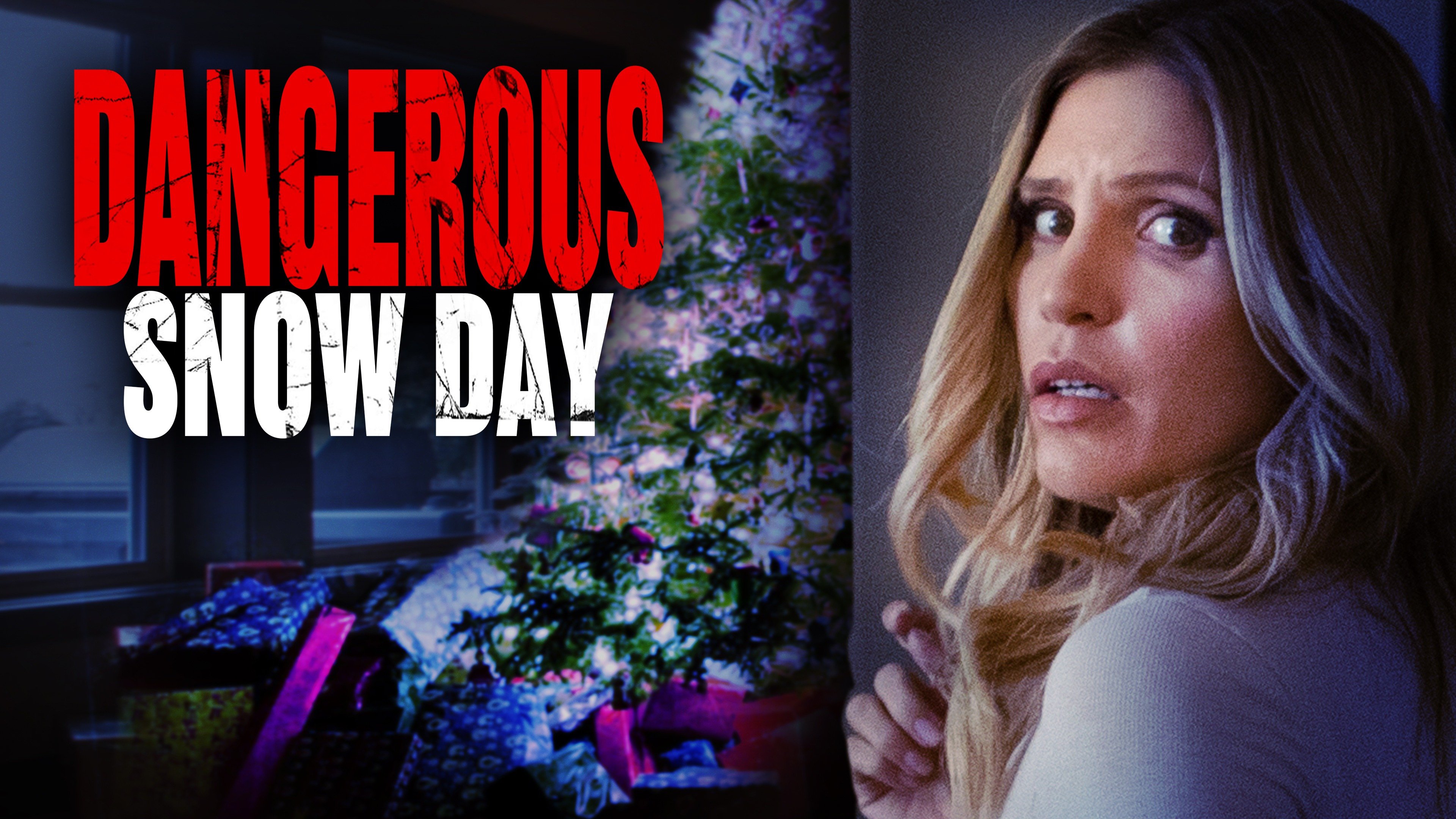 Dangerous Snow Day (2021) - Plex