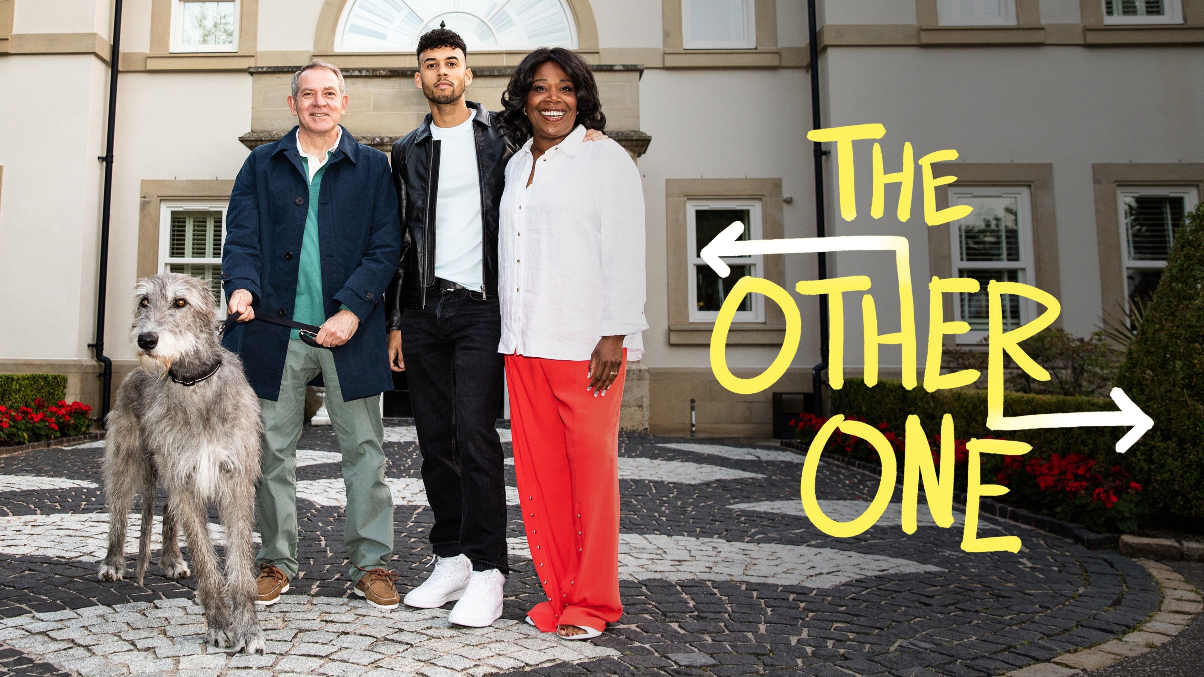 Watch The Other One (2020) (2017) TV Series Online - Plex