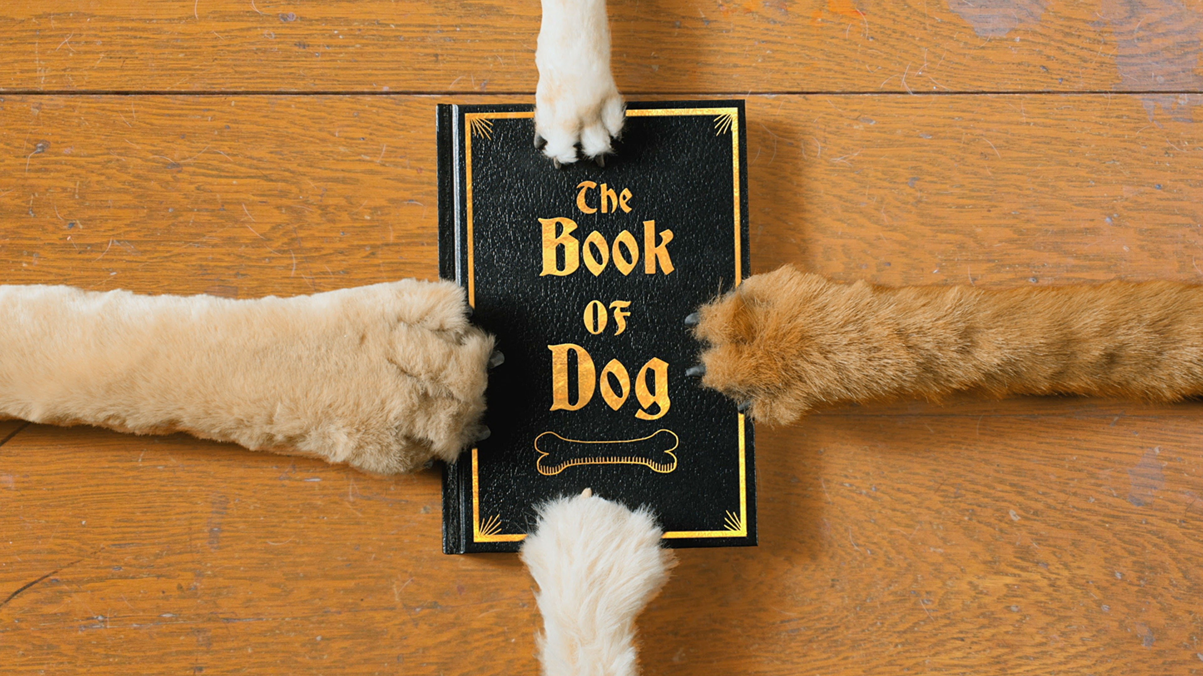 The Book of Dog (2018) - Plex