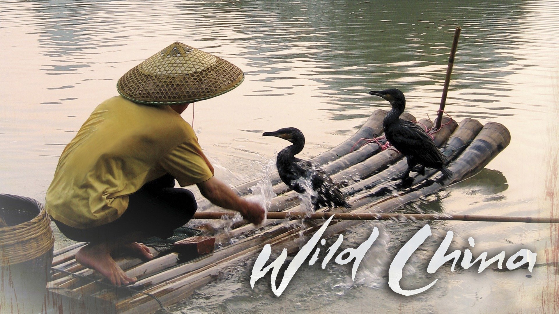 Watch Wild China · Miniseries Full Episodes Online - Plex
