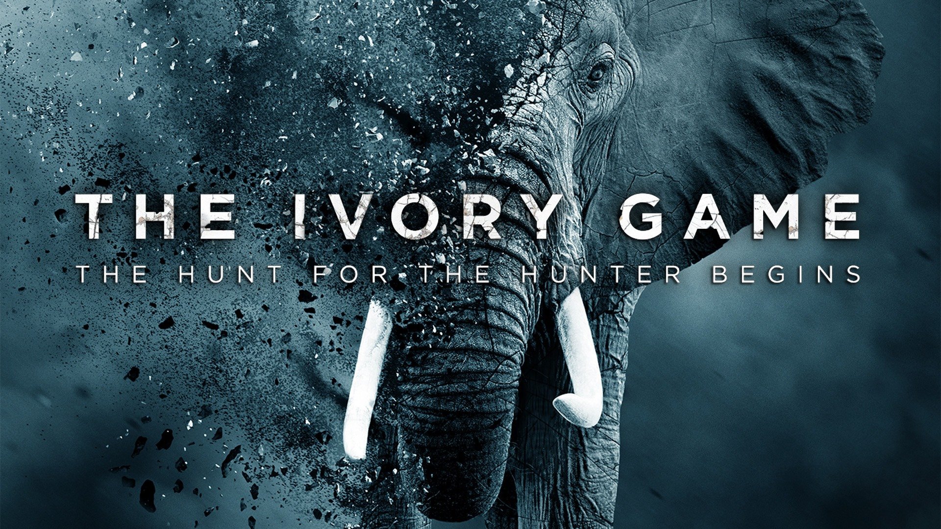 Watch The Ivory Game (2016) Full Movie Online - Plex