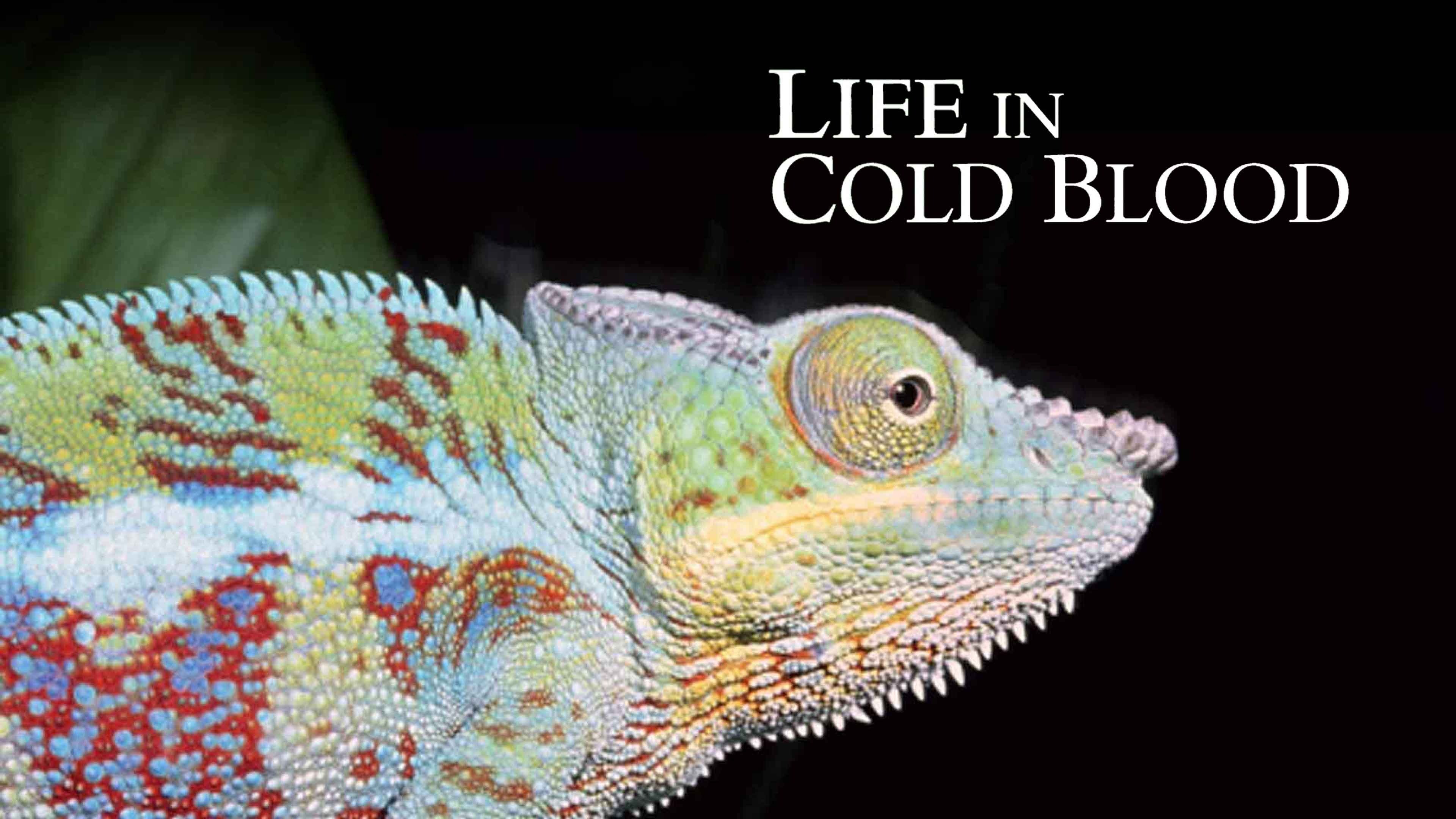 Life in Cold Blood · Miniseries - Plex