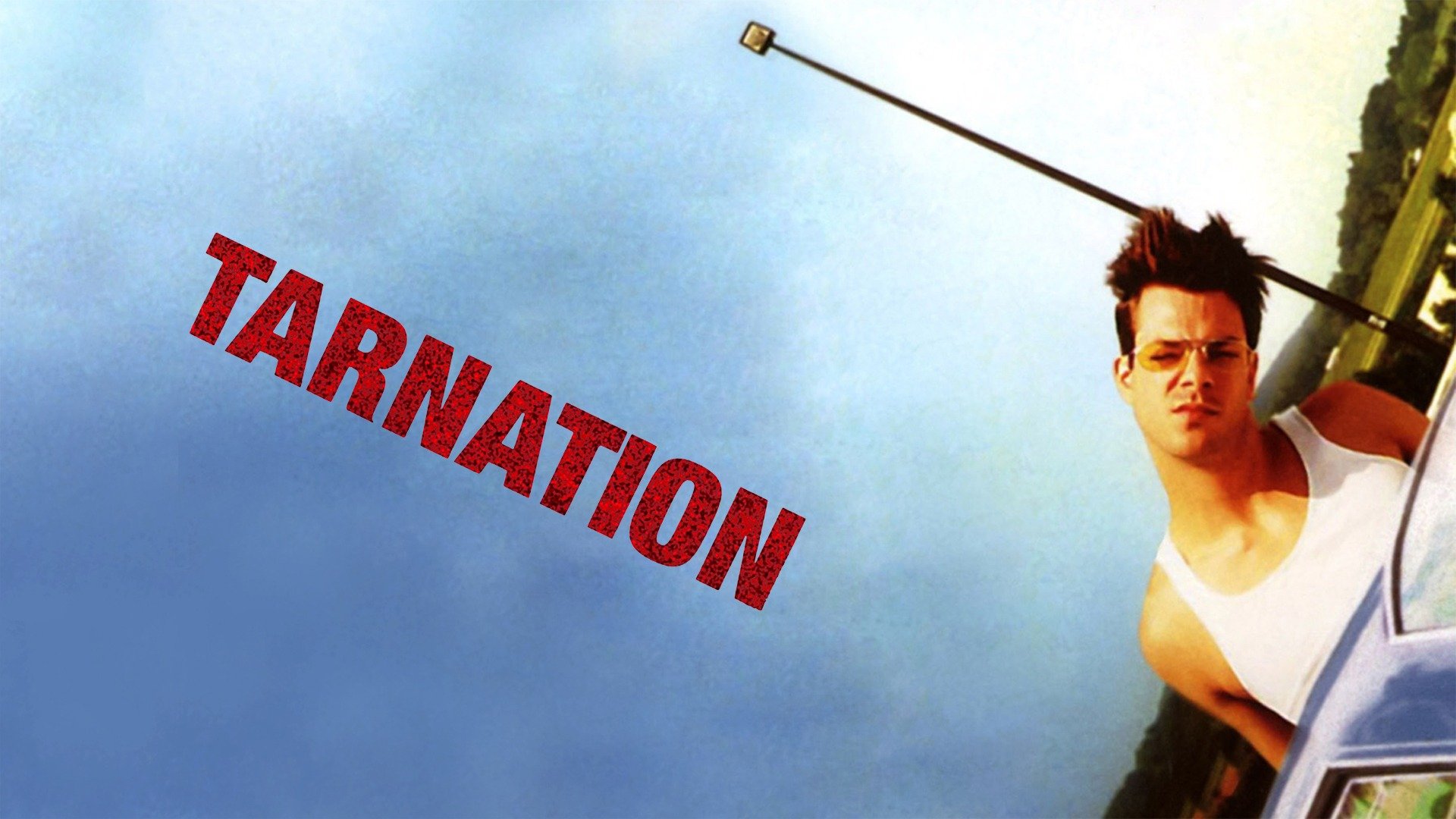 Tarnation (2004) - Plex