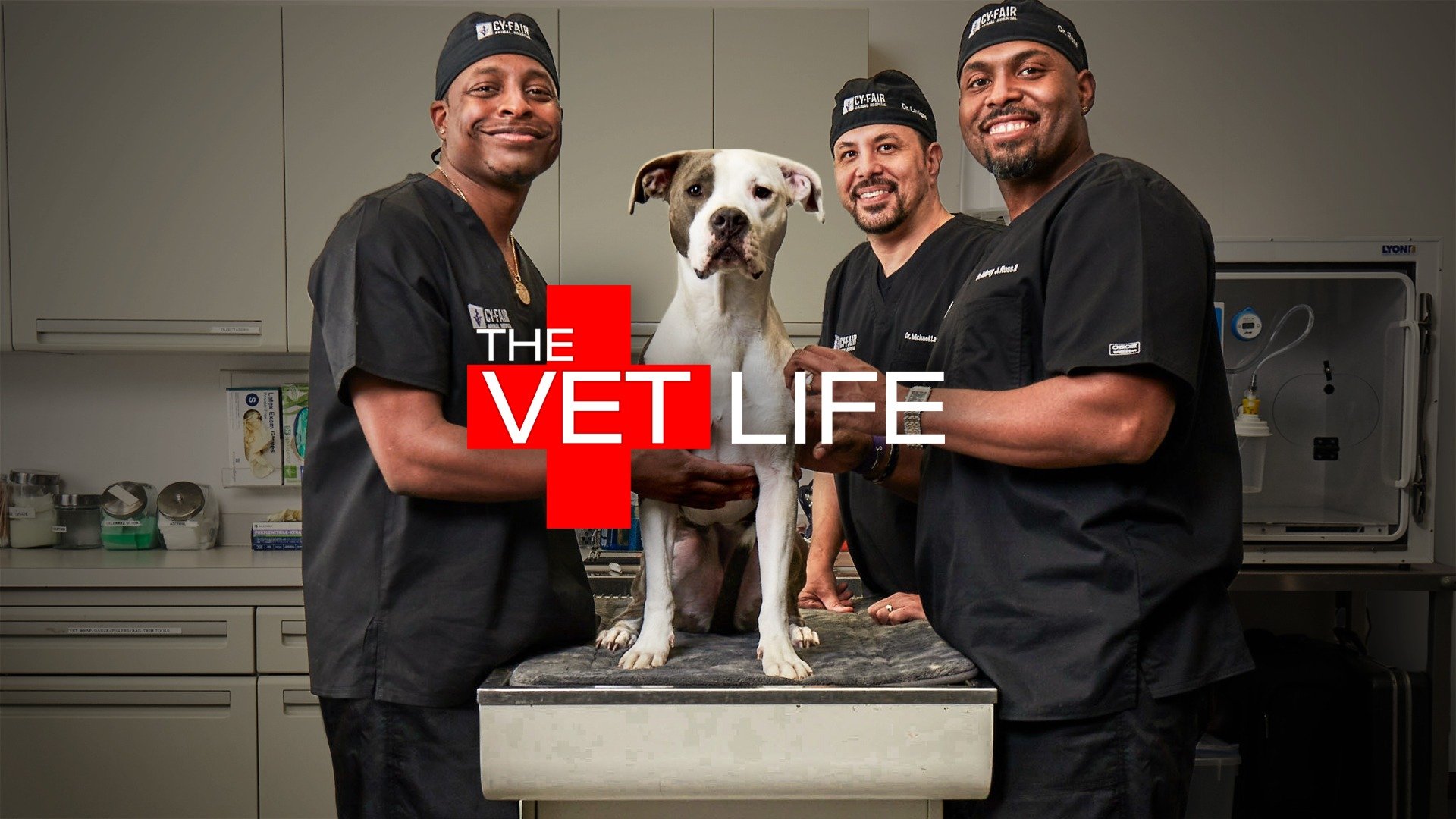 Watch The Vet Life · Season 4 Full Episodes Free Online - Plex