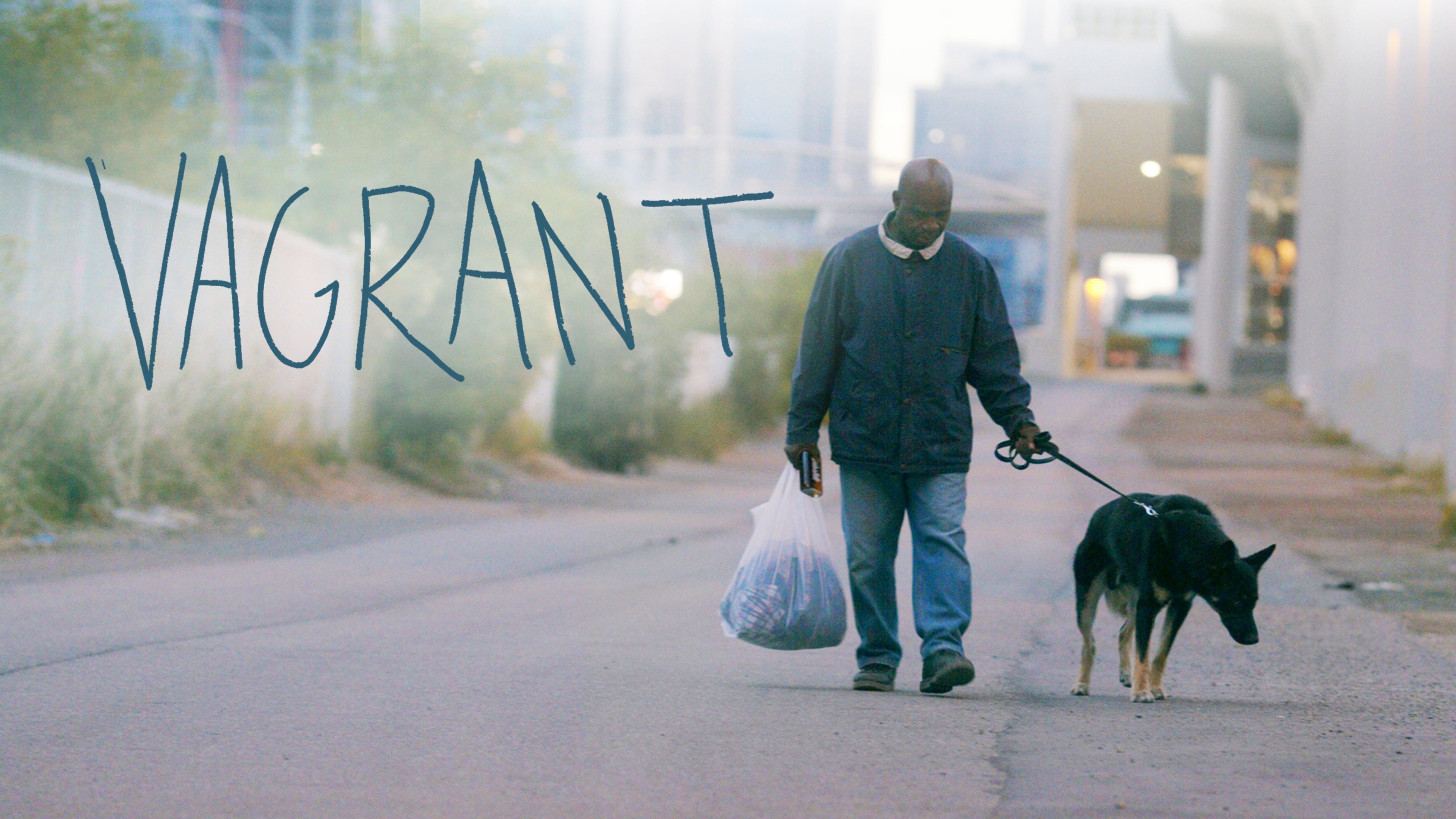 Vagrant (2020) - Plex