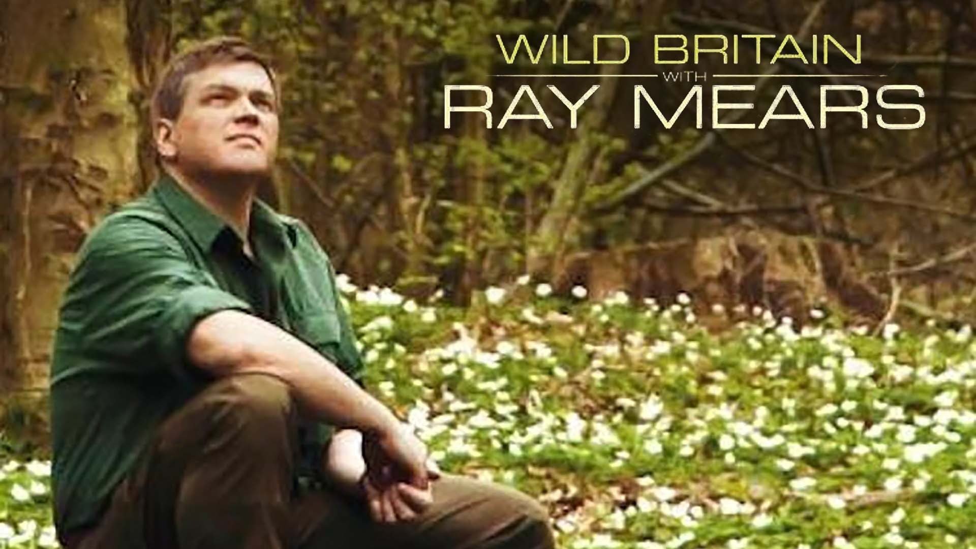 Watch Wild Britain with Ray Mears · Season 1 Full Episodes Free Online ...