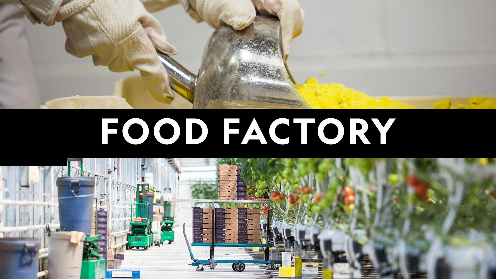Watch Food Factory (CA) (2012) TV Series Free Online - Plex