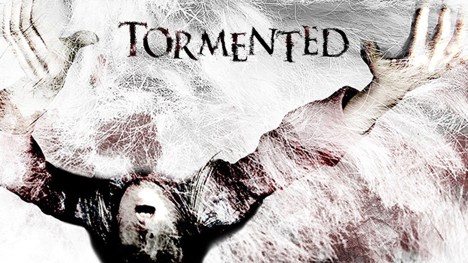 Watch Tormented (2011) Full Movie Free Online - Plex