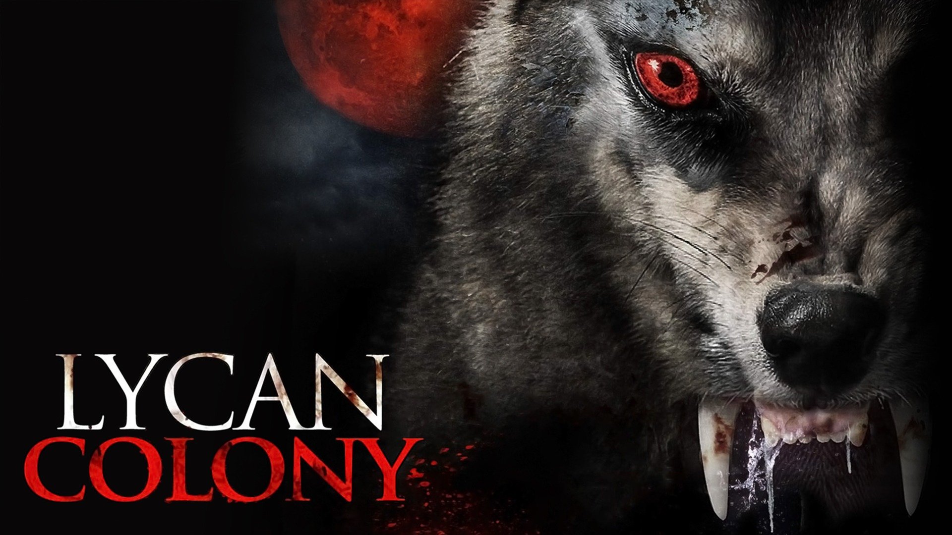 Watch Lycan Colony (2006) Full Movie Free Online - Plex