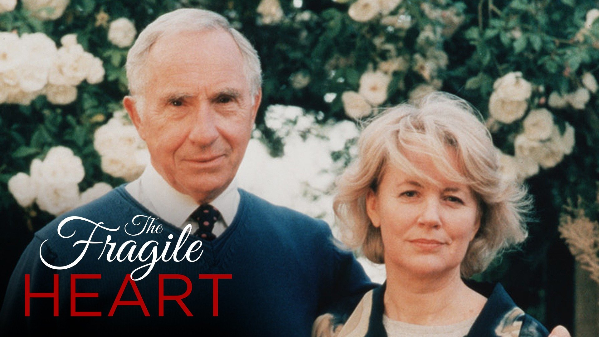 Watch The Fragile Heart · Season 1 Full Episodes Free Online - Plex