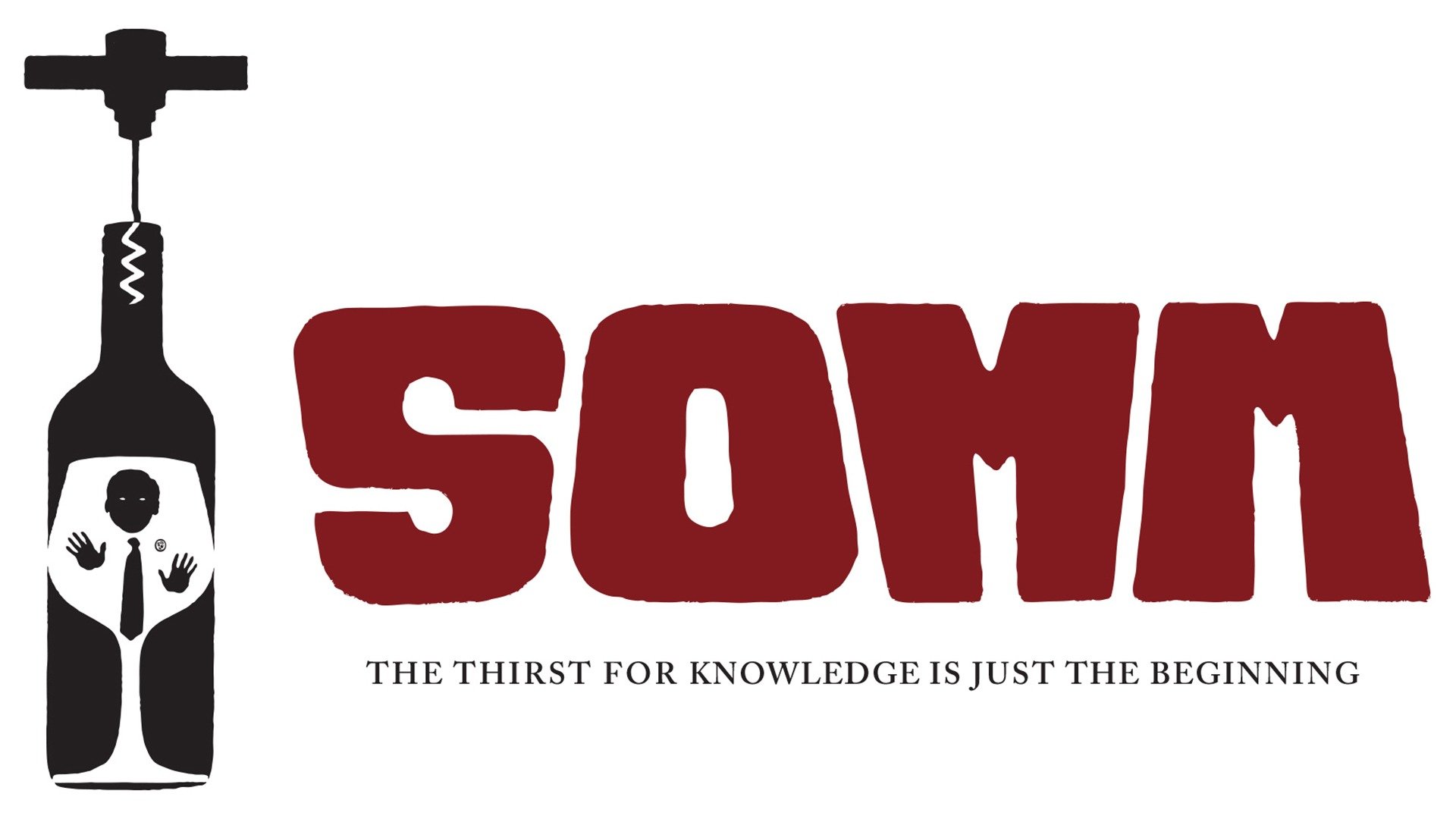 Watch SOMM (2013) Full Movie Free Online - Plex