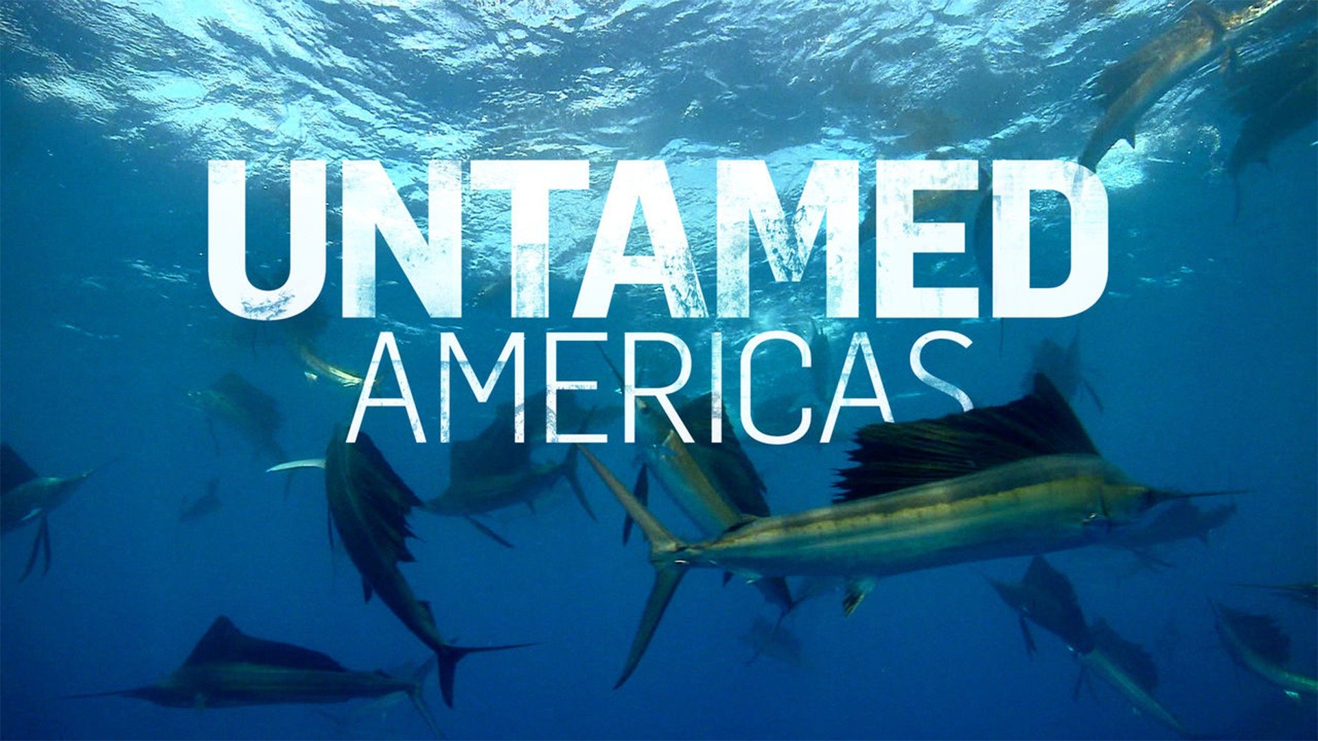 Untamed Americas · Season 1 - Plex