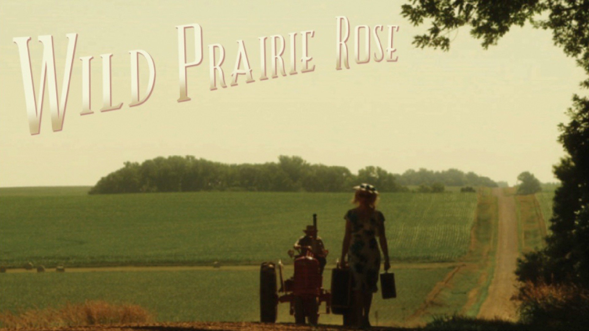 Watch Wild Prairie Rose (2016) Full Movie Free Online - Plex