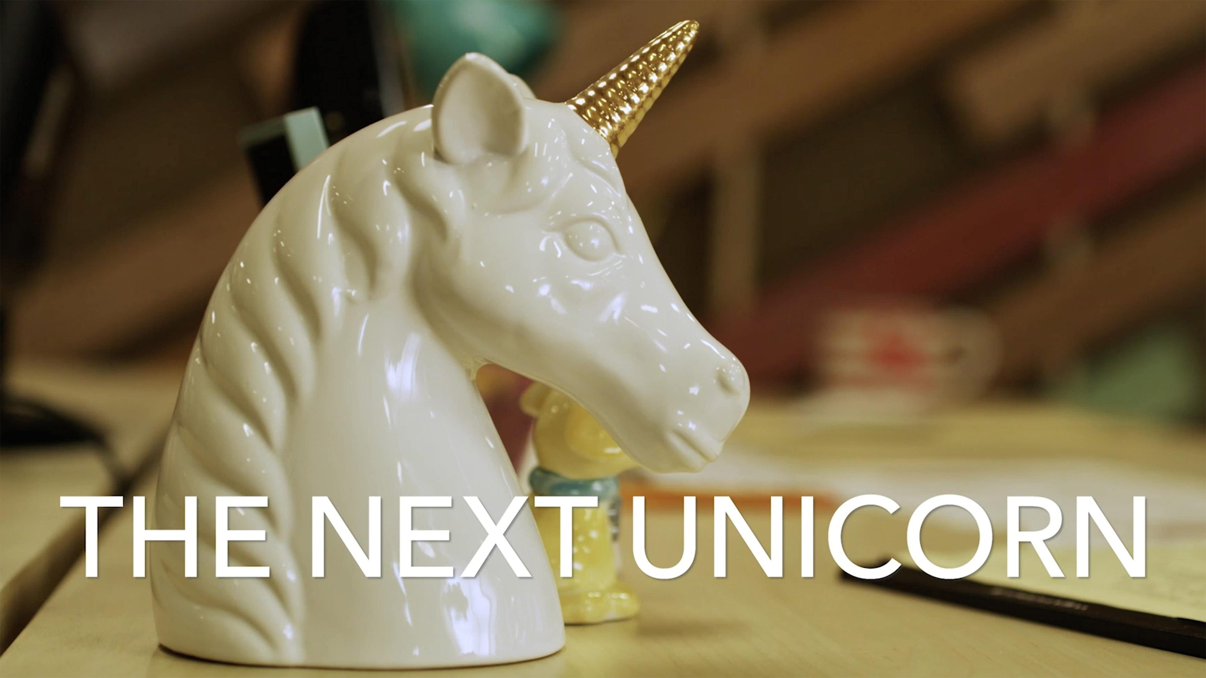 Watch The Next Unicorn (2021) TV Series Free Online - Plex