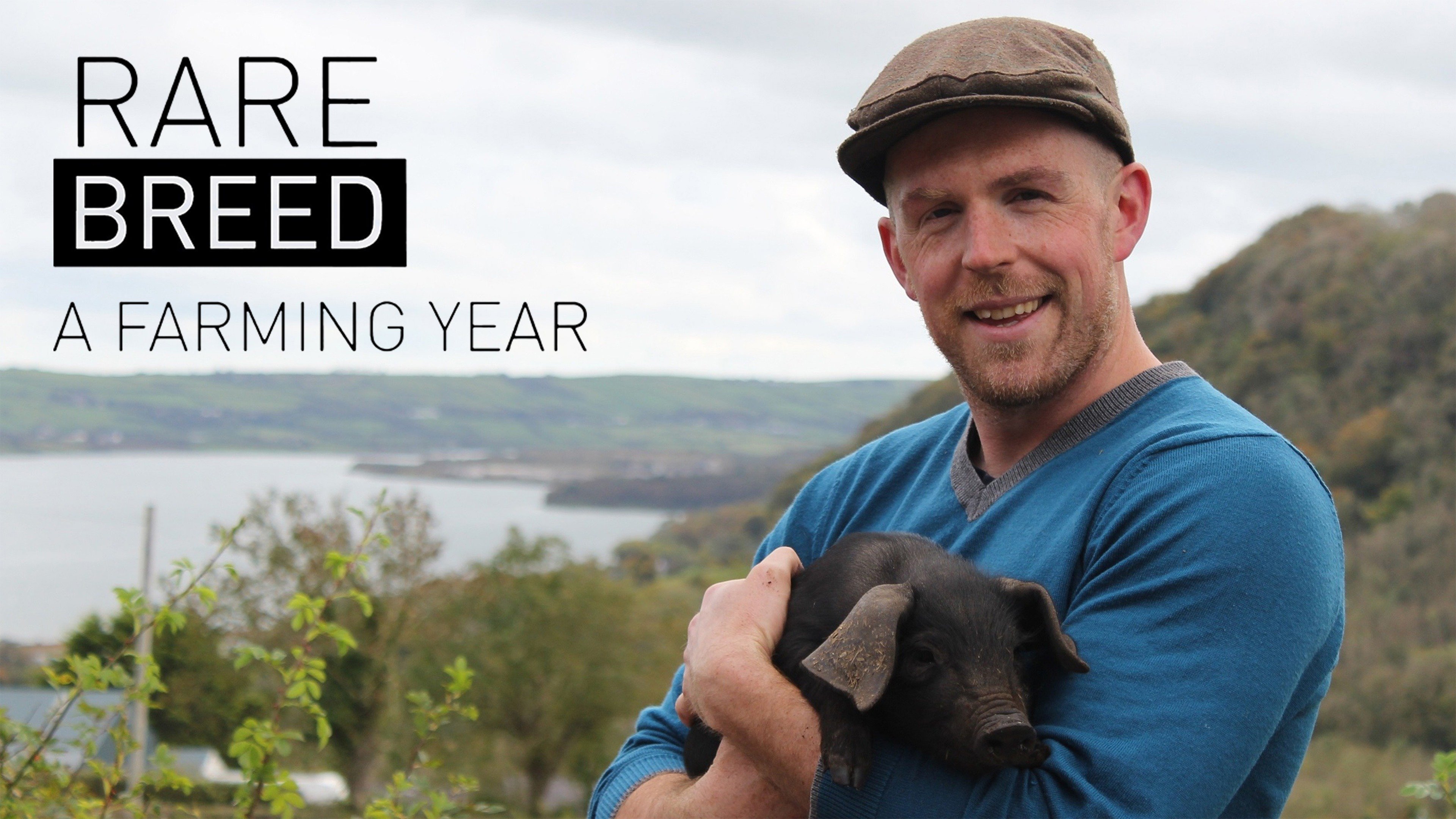 Watch Rare Breed: A Farming Year · Season 1 Full Episodes Free Online ...