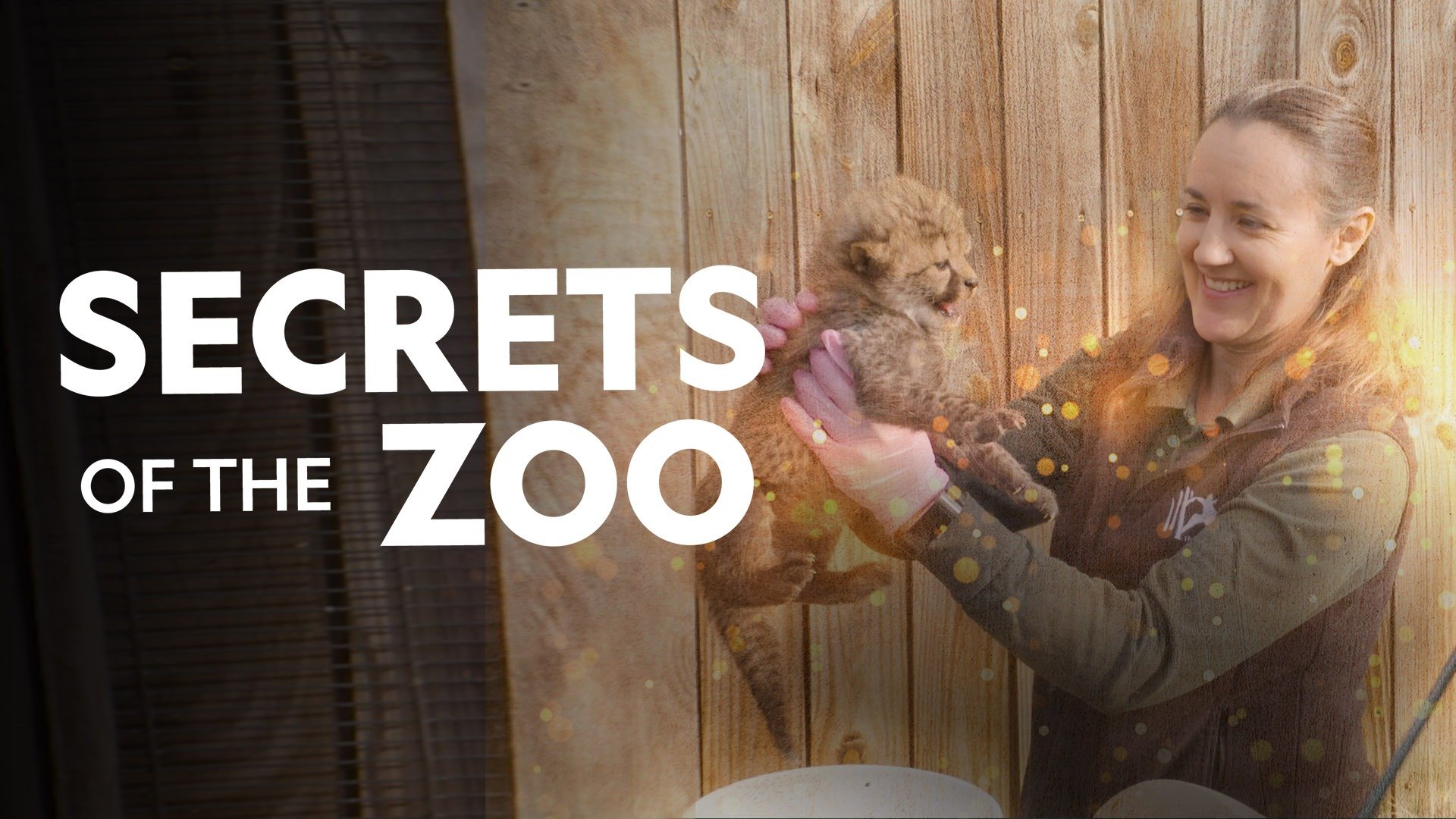 Watch Secrets of the Zoo (2019) TV Series Online - Plex