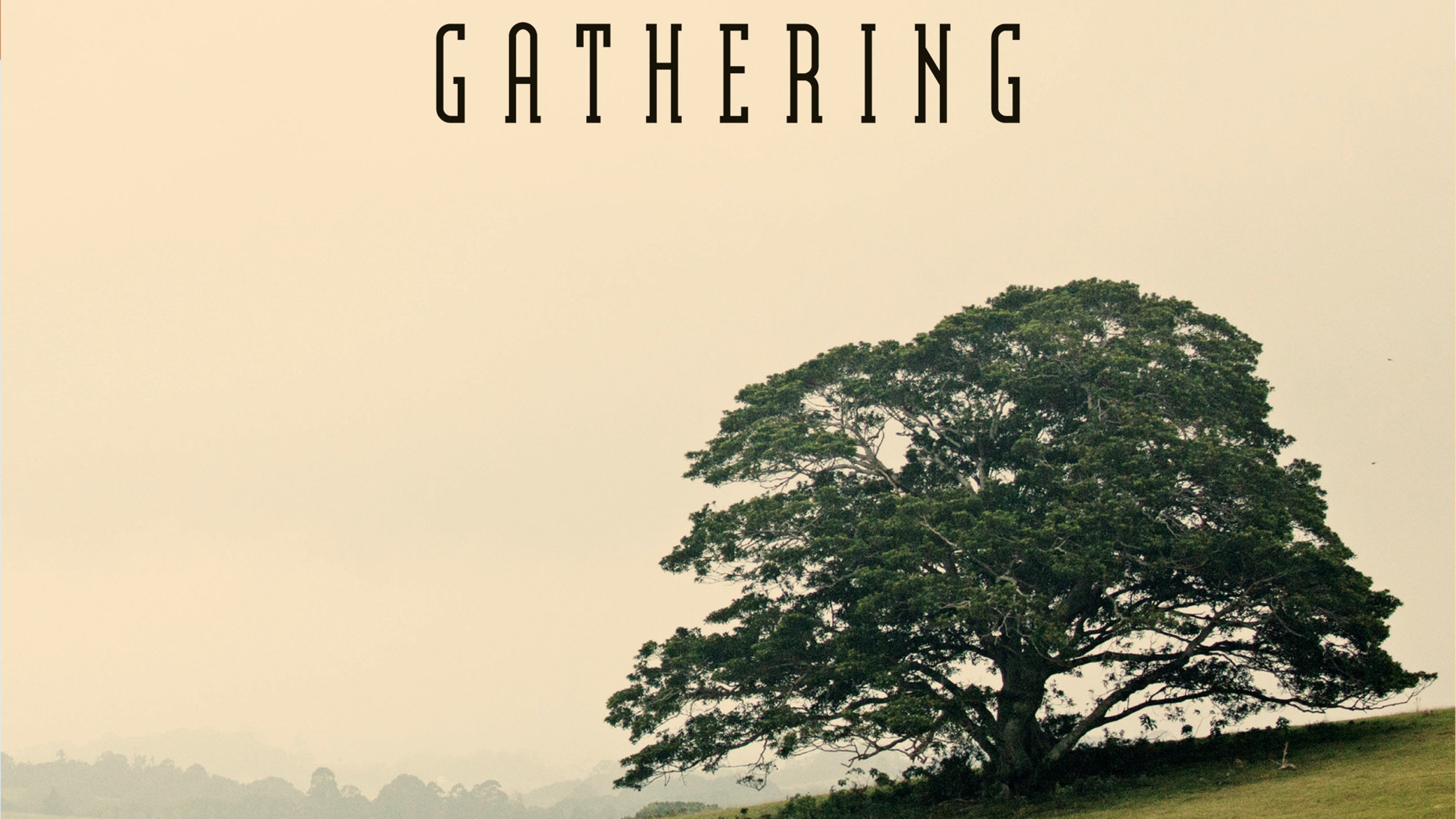 Watch Gathering (2014) Full Movie Online - Plex
