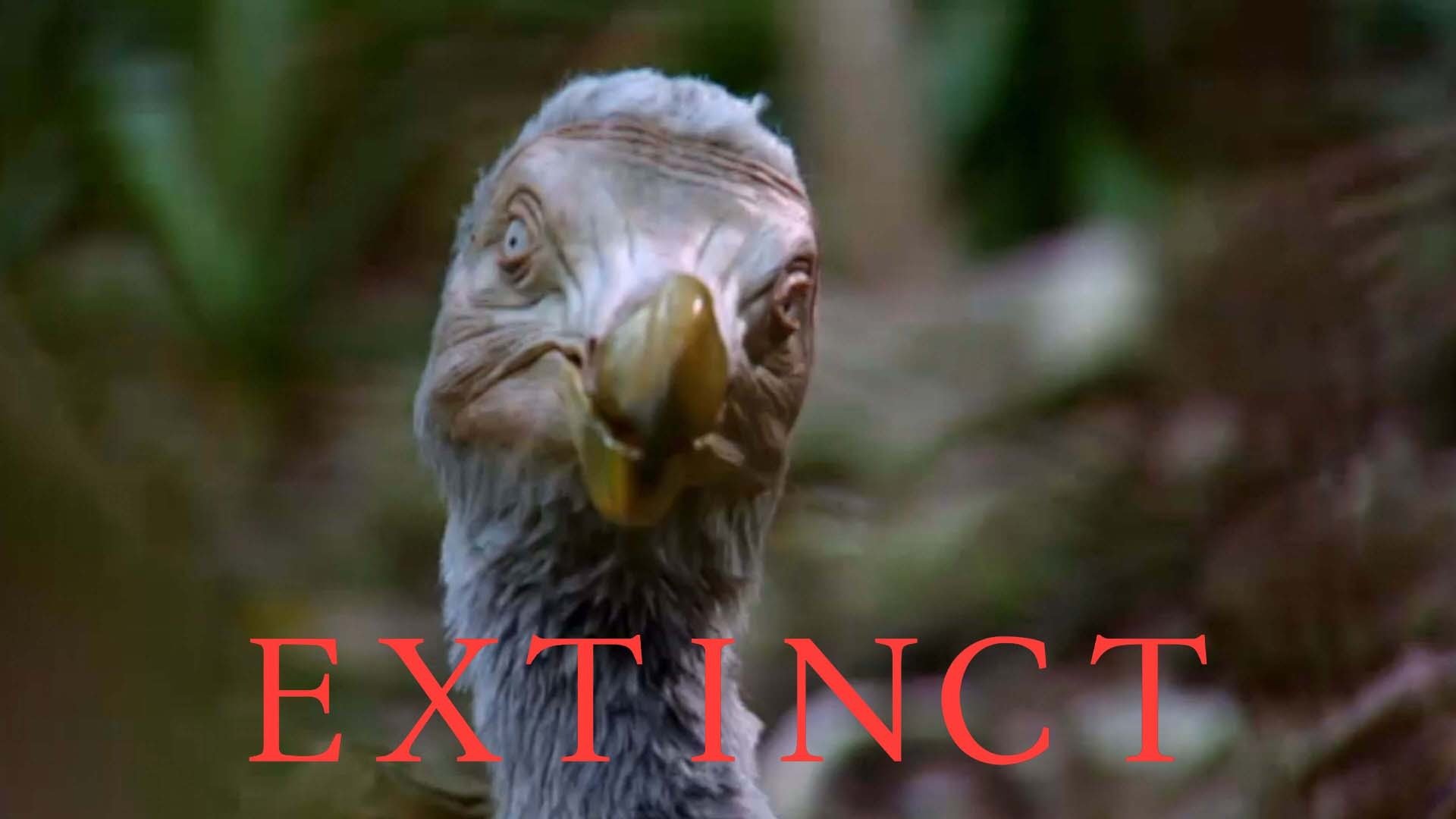 Watch Extinct (2001) TV Series Free Online - Plex