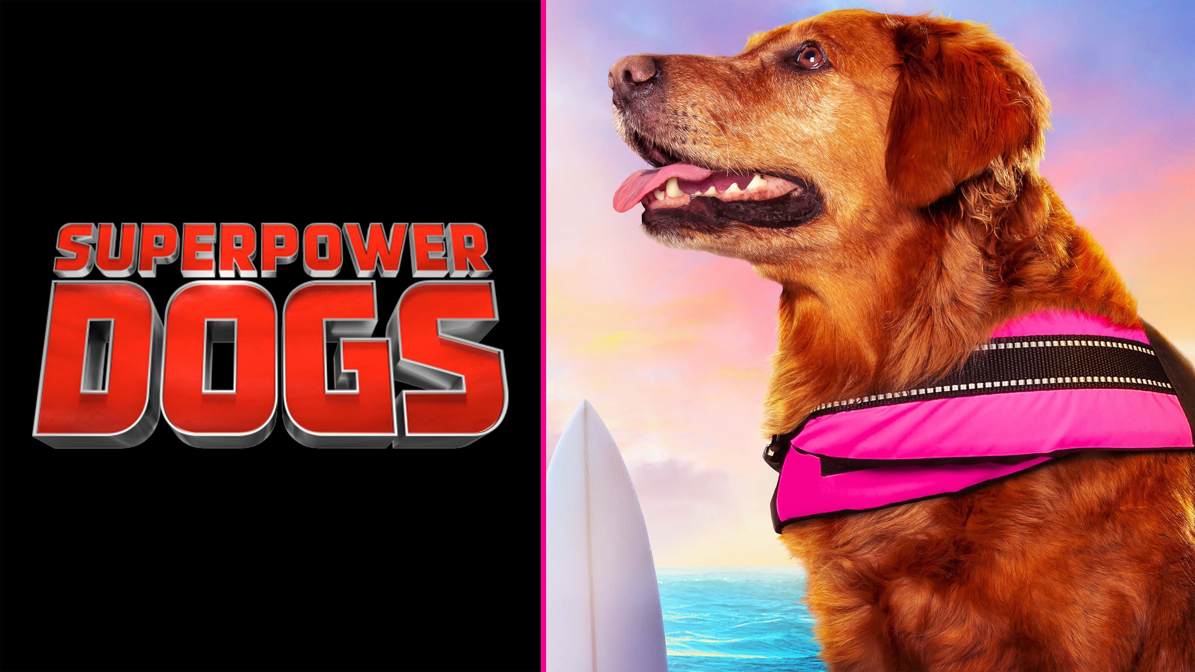 Superpower Dogs (2019) - Plex