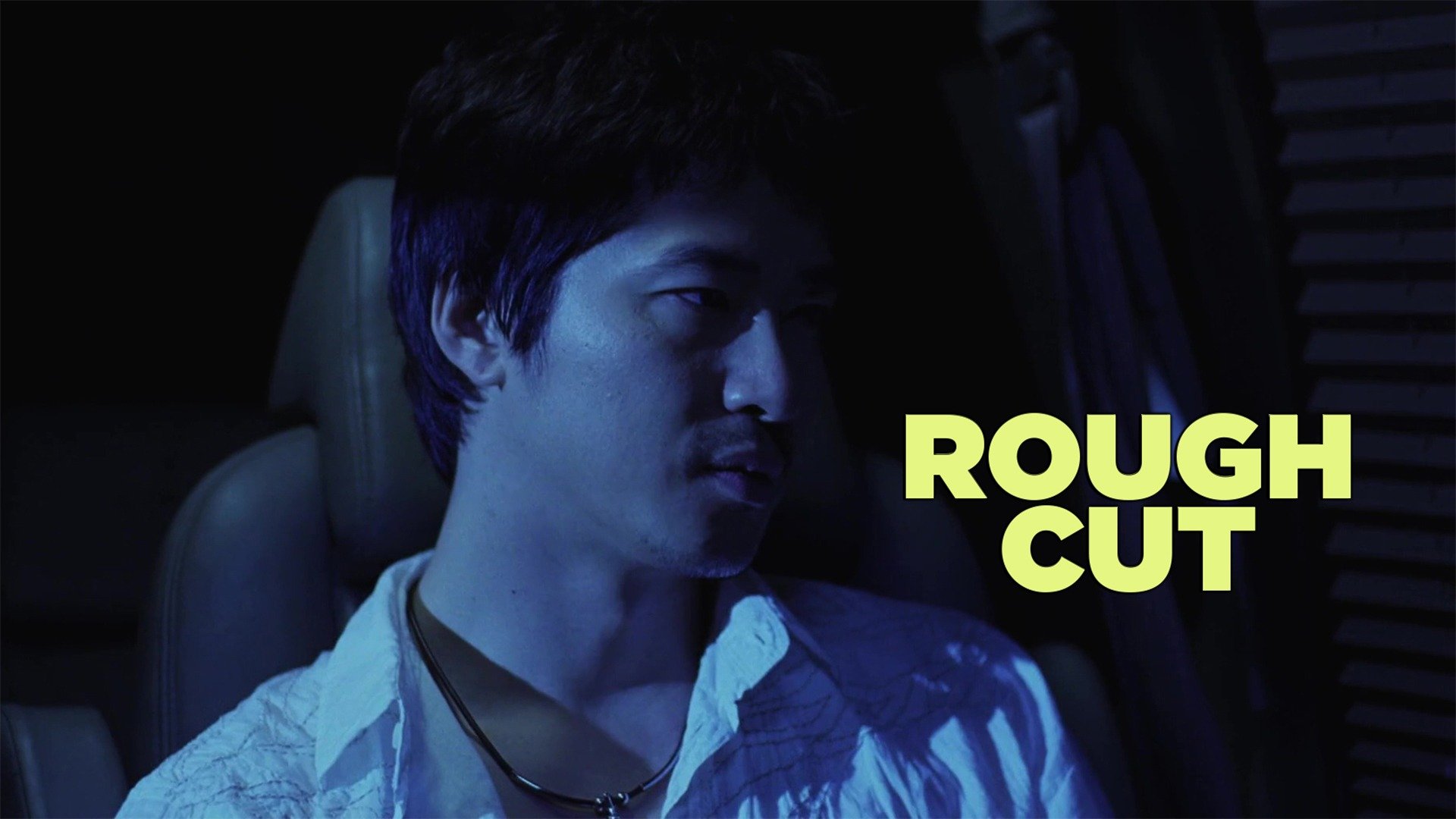 Watch Rough Cut (2008) Full Movie Free Online - Plex