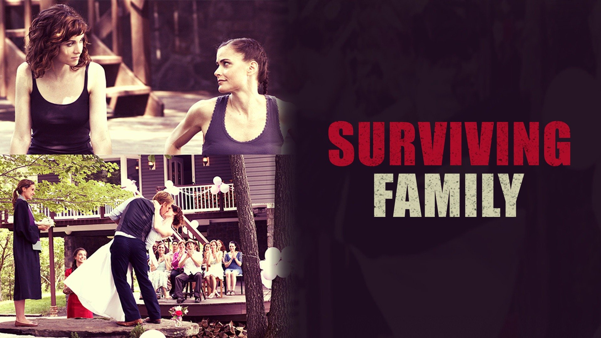 Watch Surviving Family (2014) Full Movie Free Online - Plex
